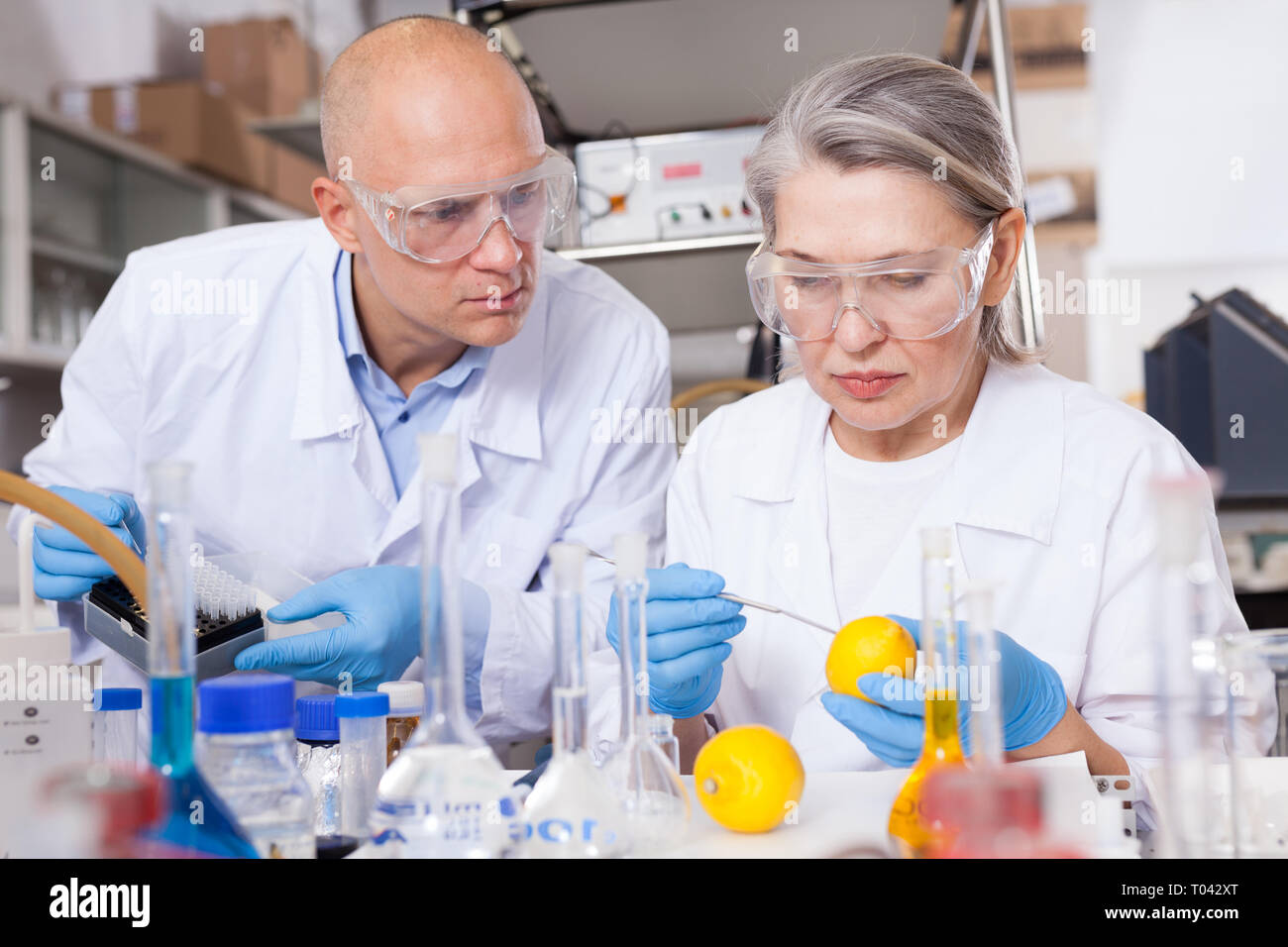 Two professional genetic scientists working in laboratory, performing ...
