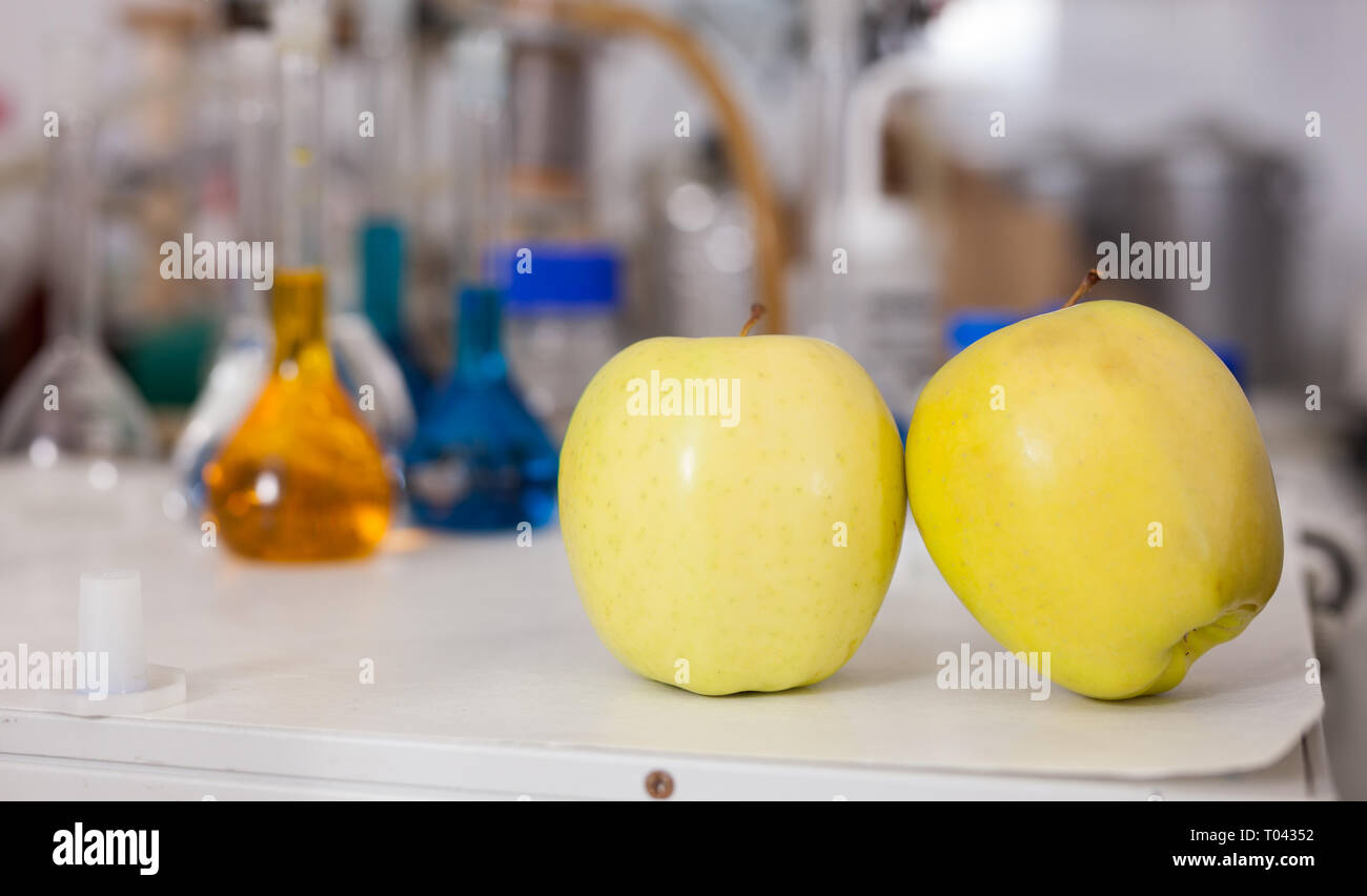 Transgenic apple hi-res stock photography and images - Alamy