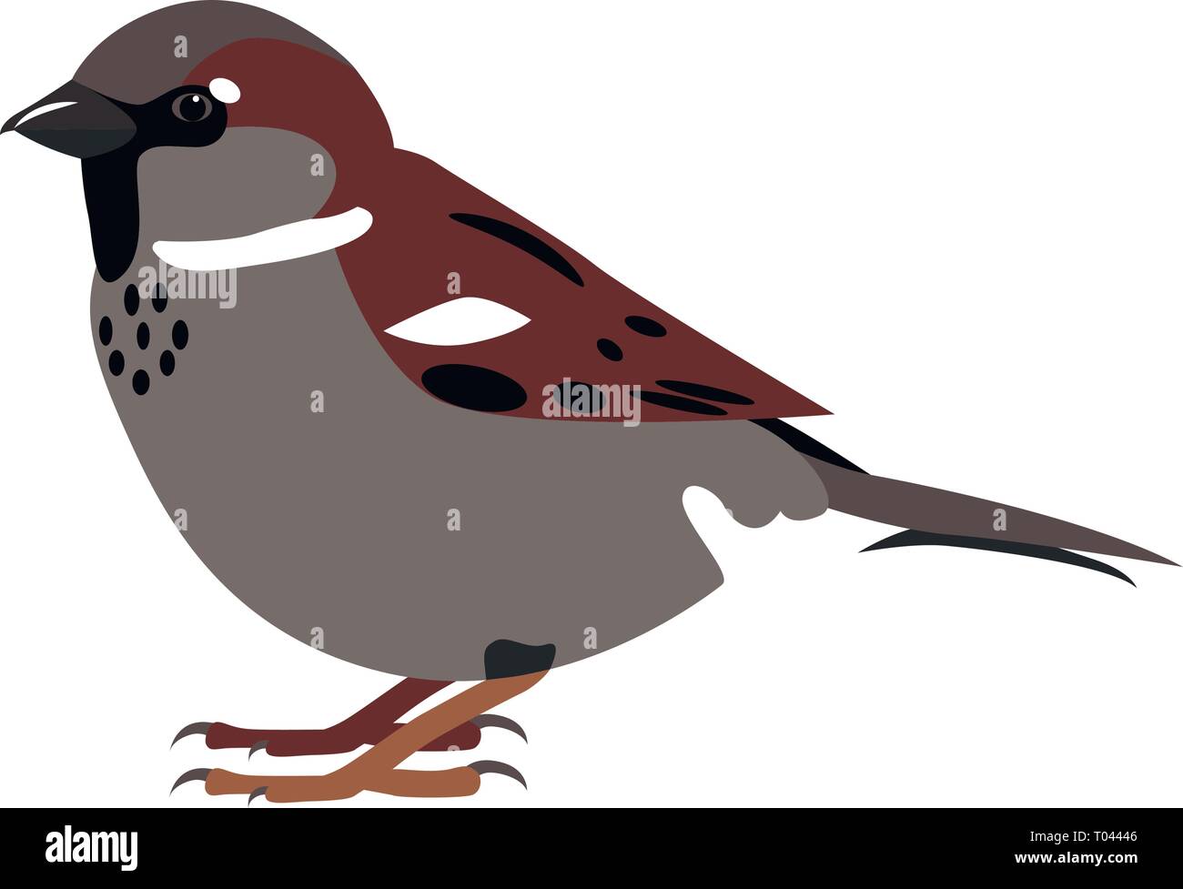 Wildlife india birds Stock Vector Images - Alamy