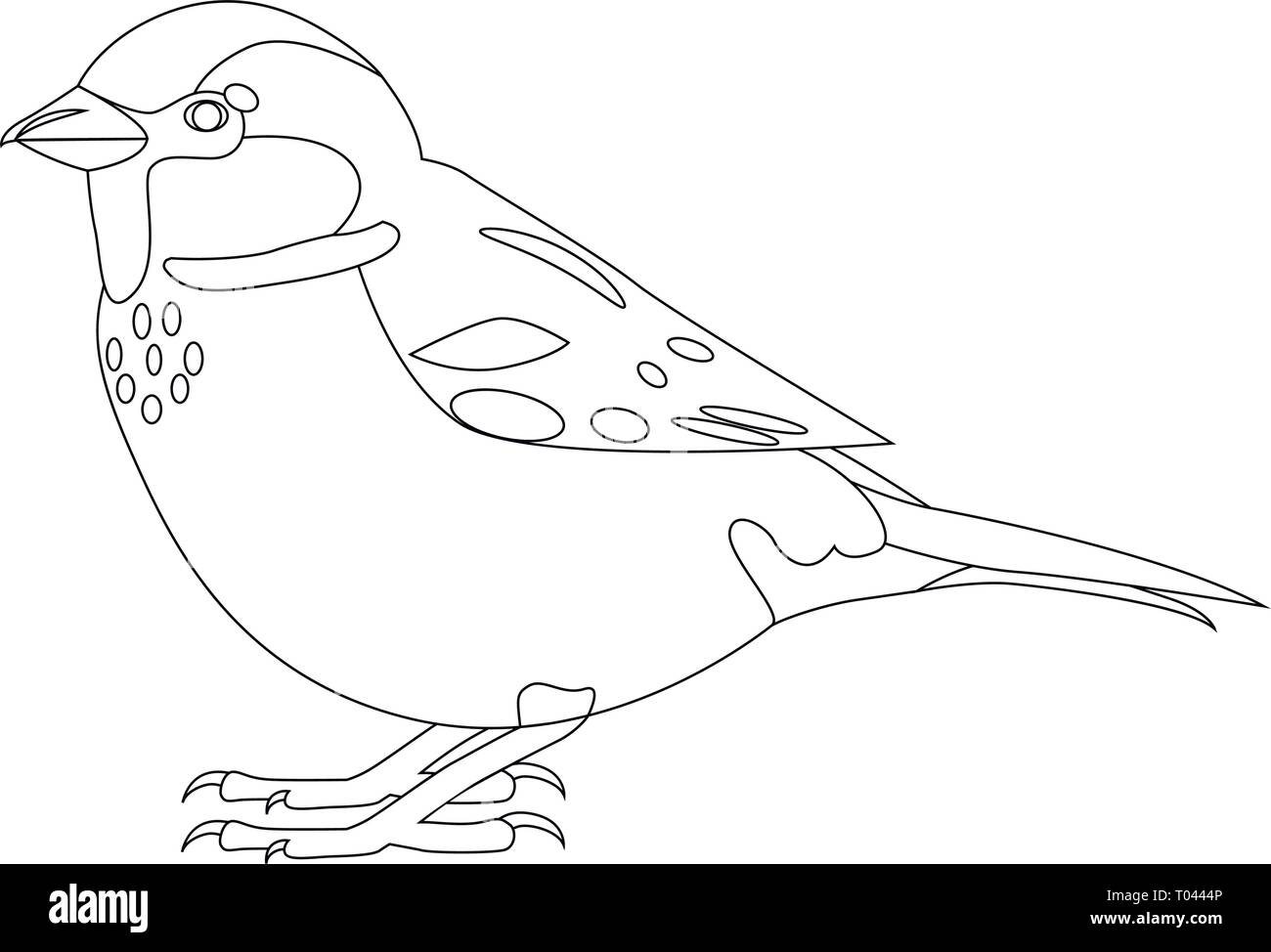 Sparrow india Cut Out Stock Images & Pictures - Alamy