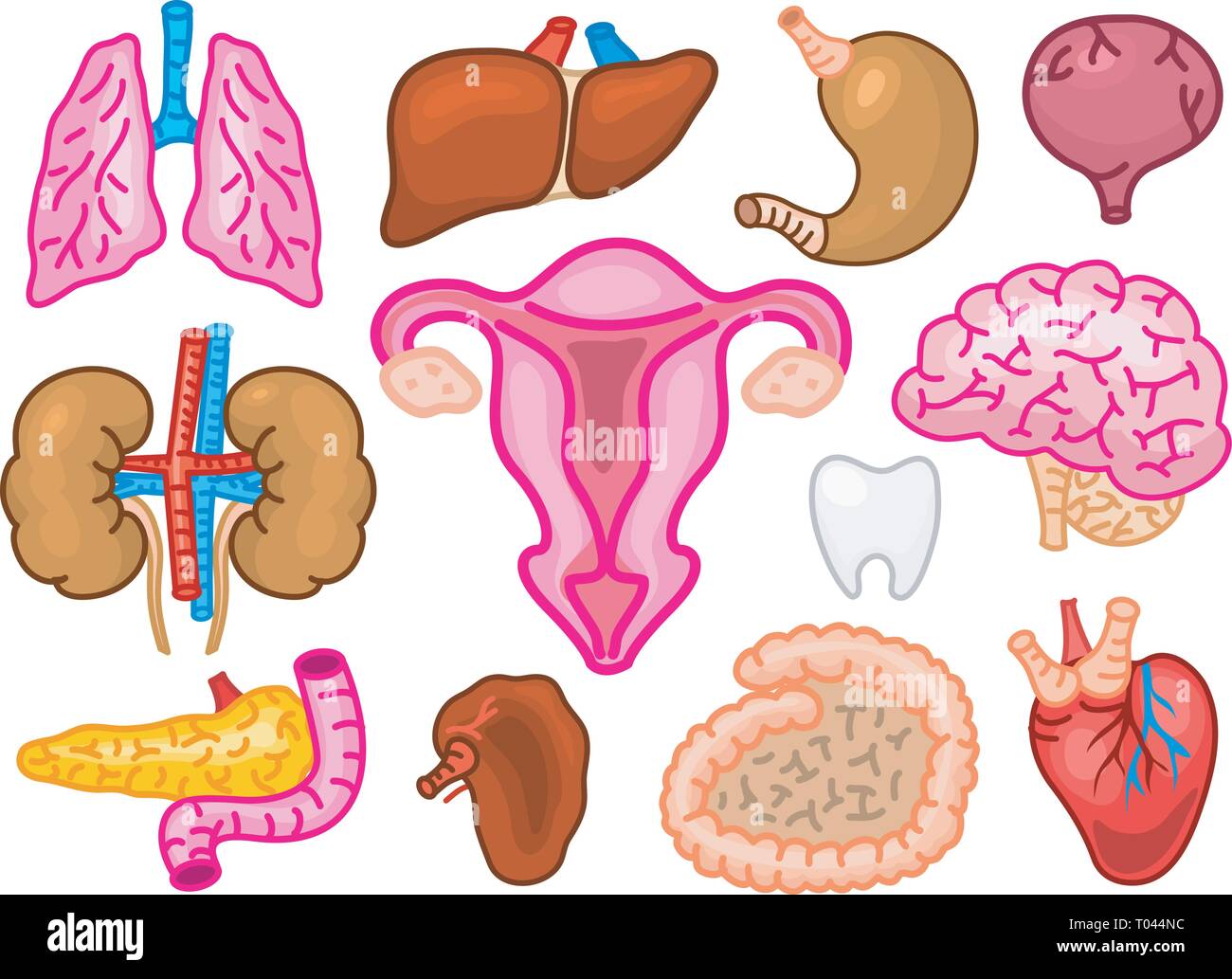 Cute Organs Happy Human Set Of Smiling Characters Vector Pins