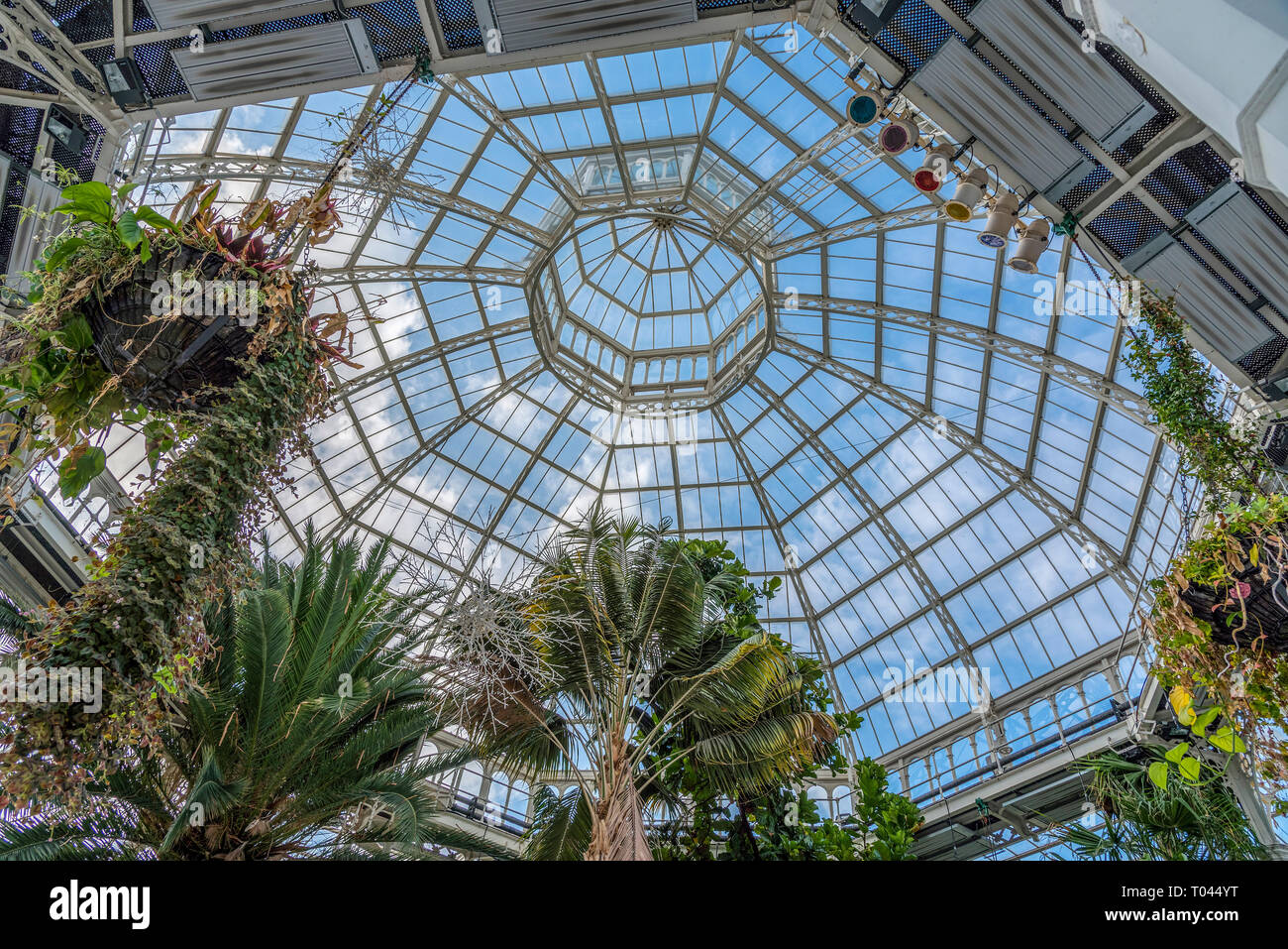 Palmhouse hi-res stock photography and images - Alamy