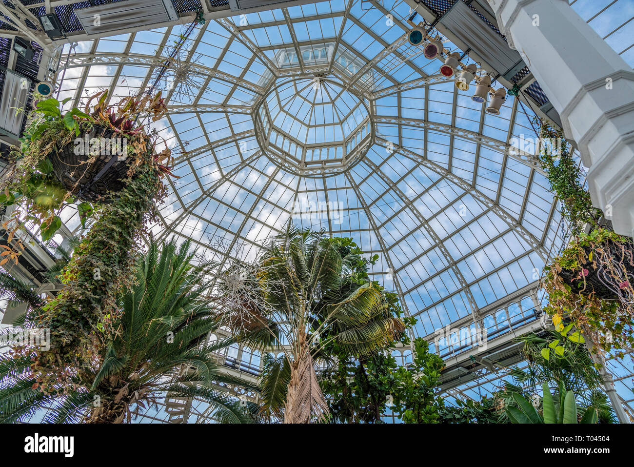 Sefton park palmhouse hi-res stock photography and images - Alamy