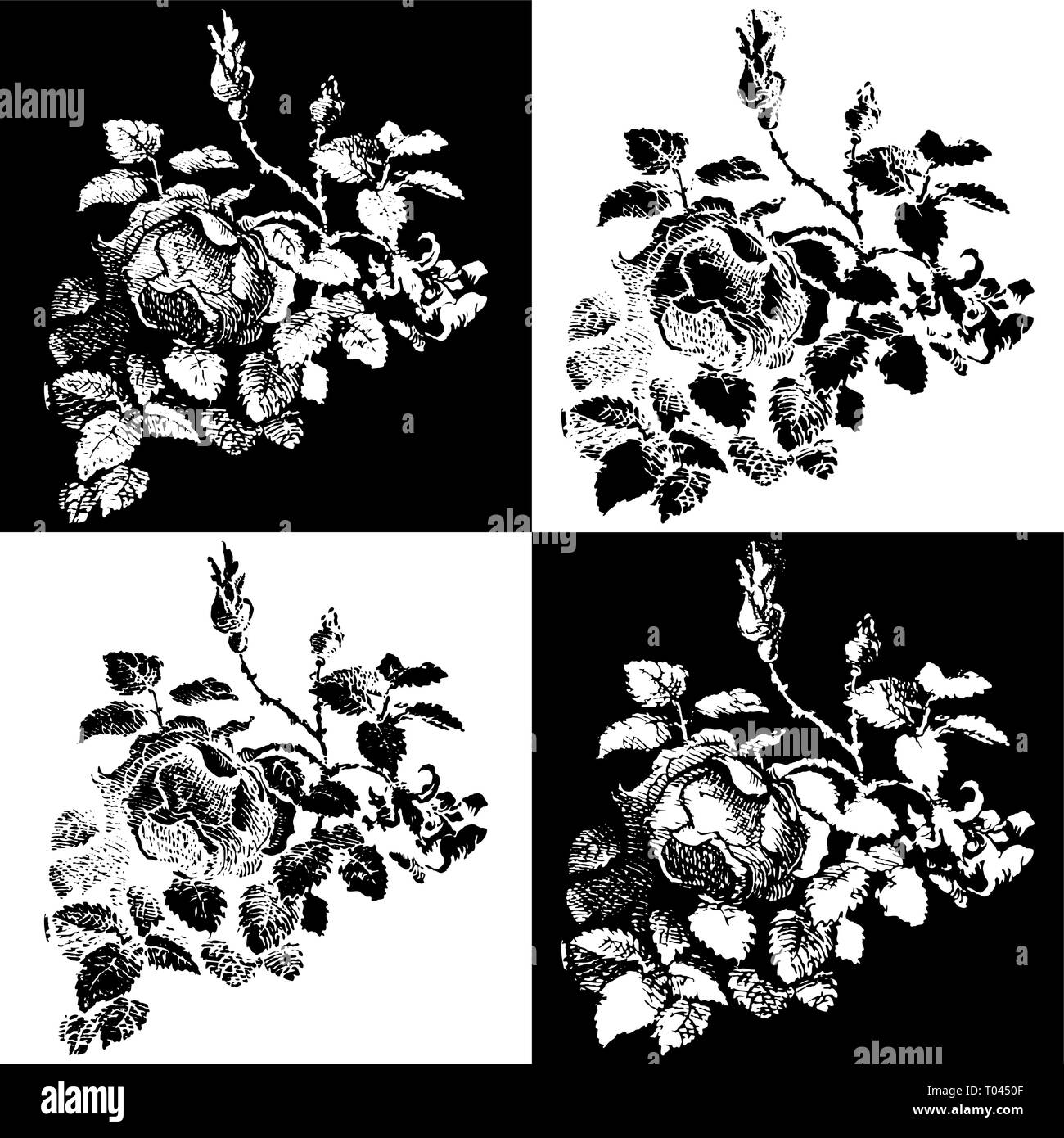 Rosetree Stock Vector Images - Alamy