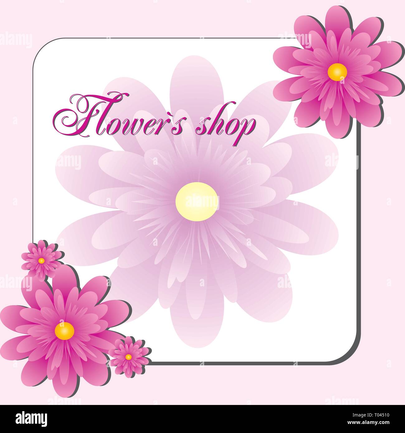 Background with pink flowers, herberas, vizit card for flower shop ...