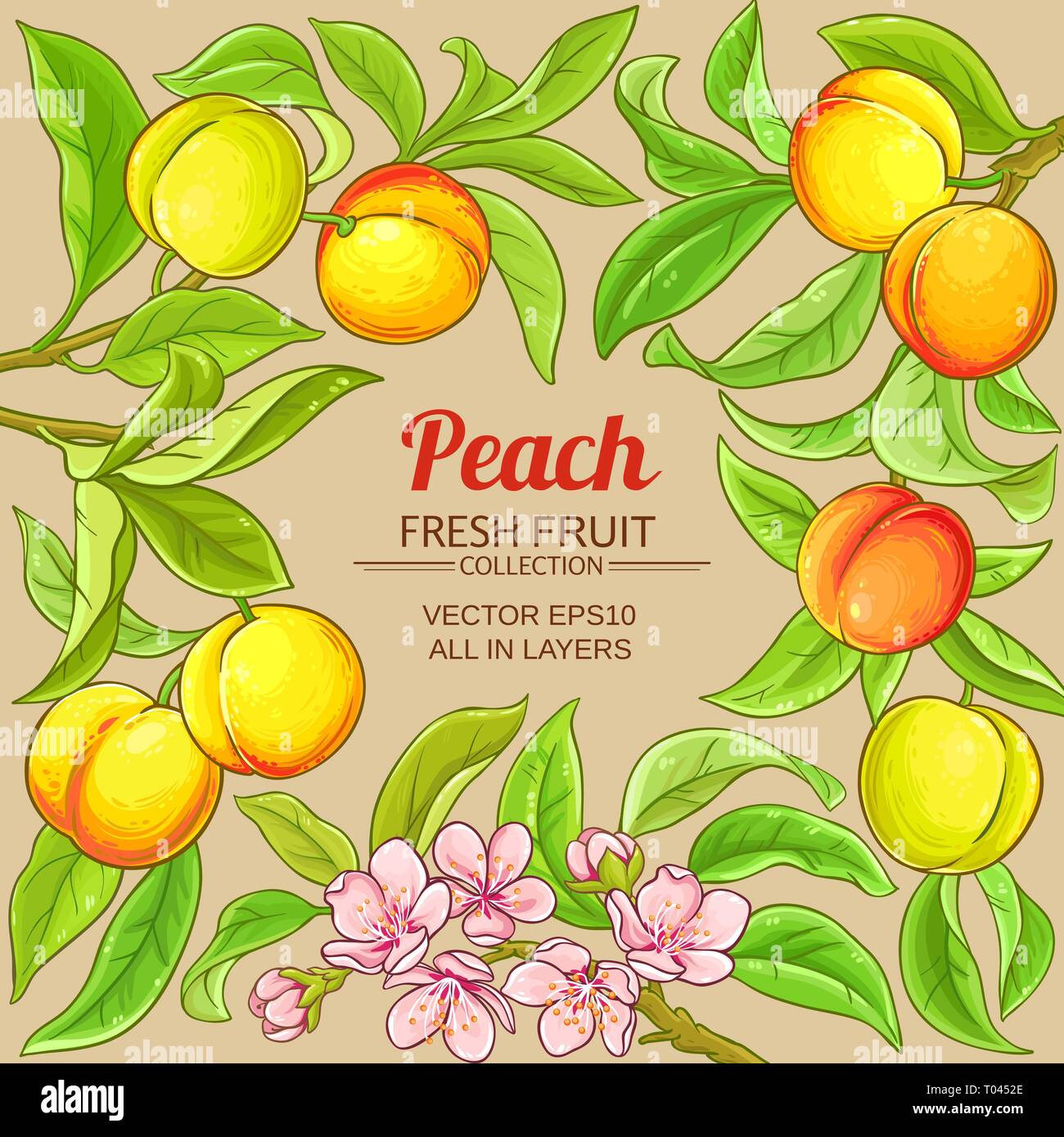 peach vector frame on color background Stock Vector Image & Art - Alamy
