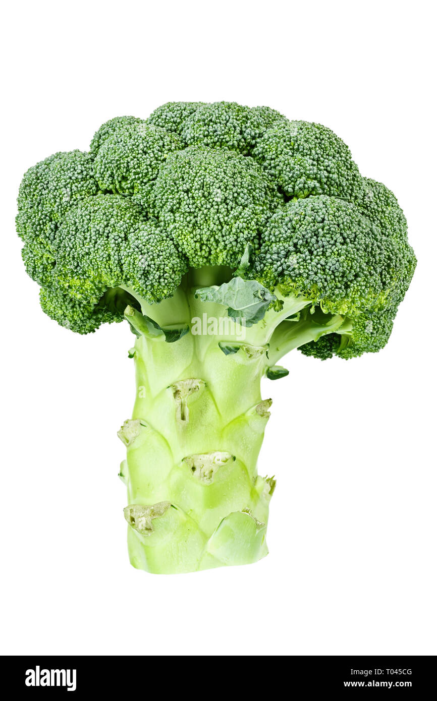 Broccoli isolated on white background . File contains clipping path ...