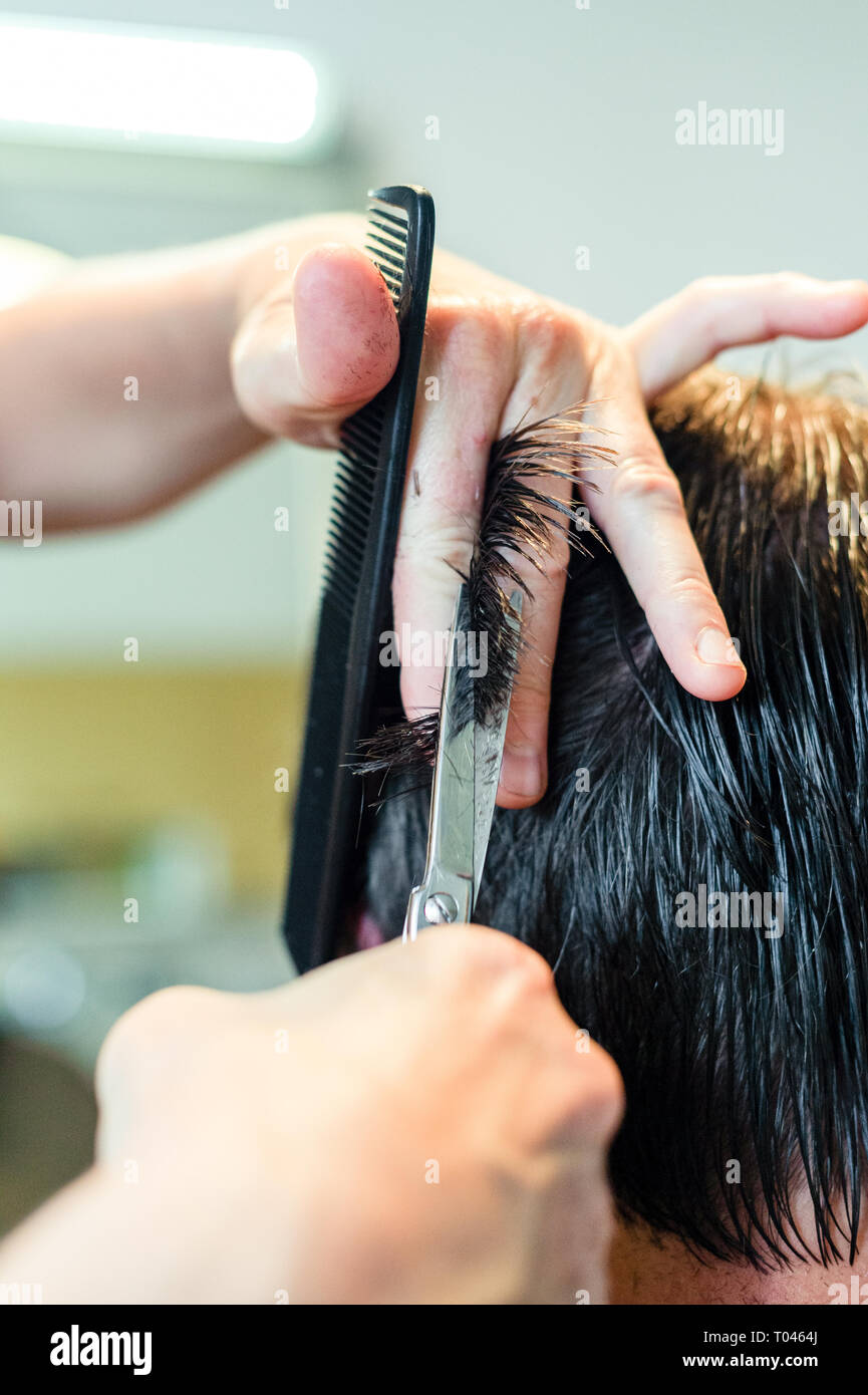 Close up hairstylists hand cutting hi-res stock photography and images ...