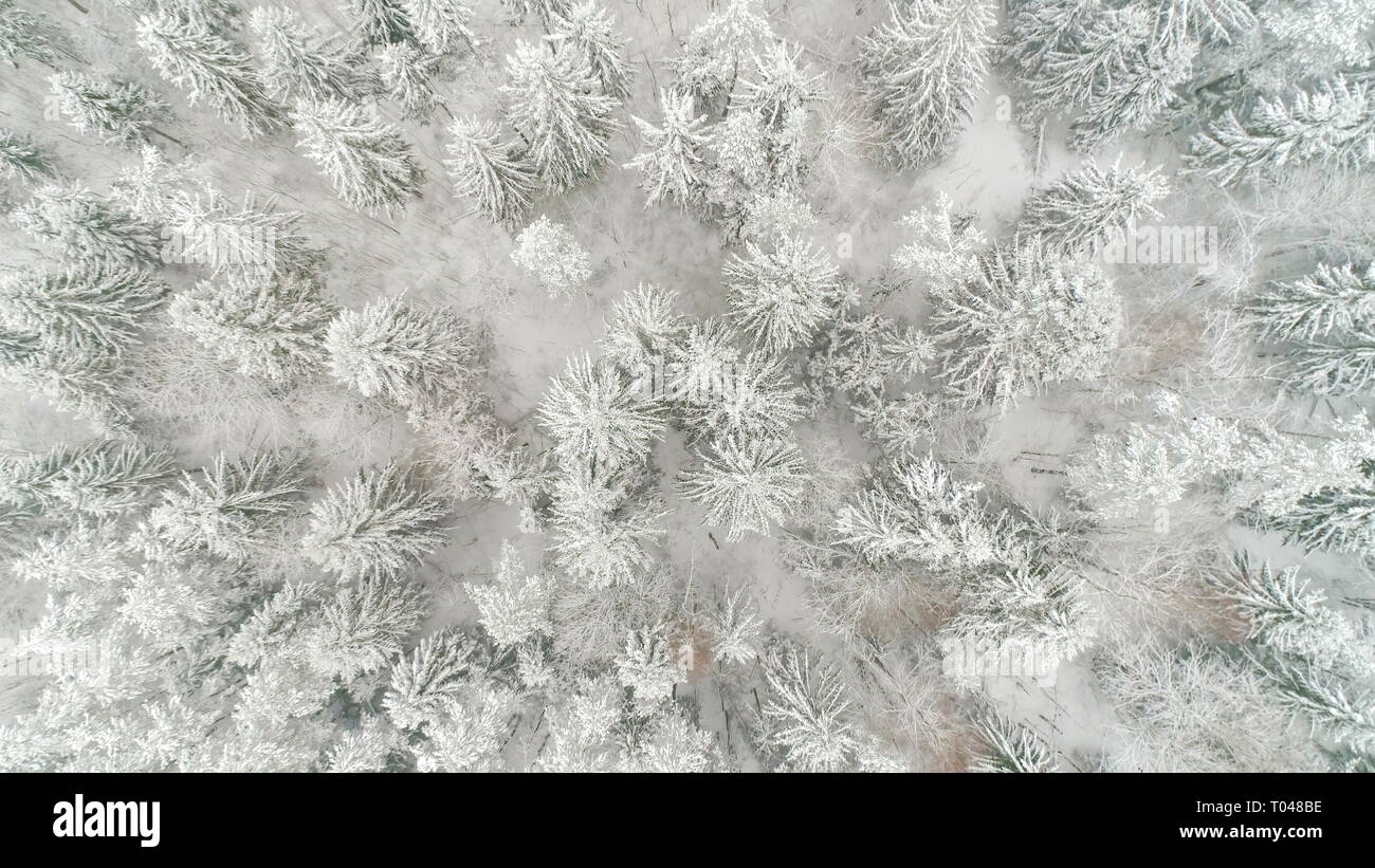 Snow filled sky hi-res stock photography and images - Alamy