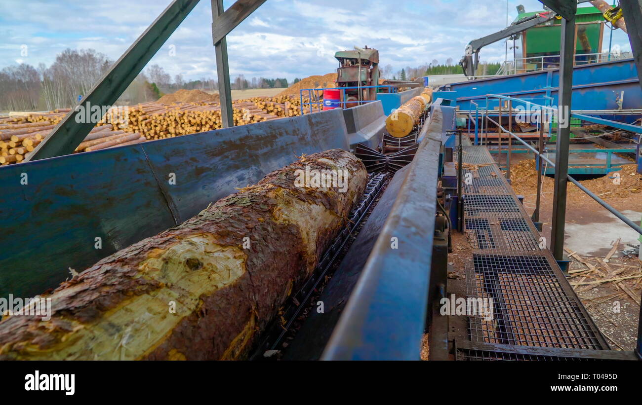 Sawing machine log hi-res stock photography and images - Alamy