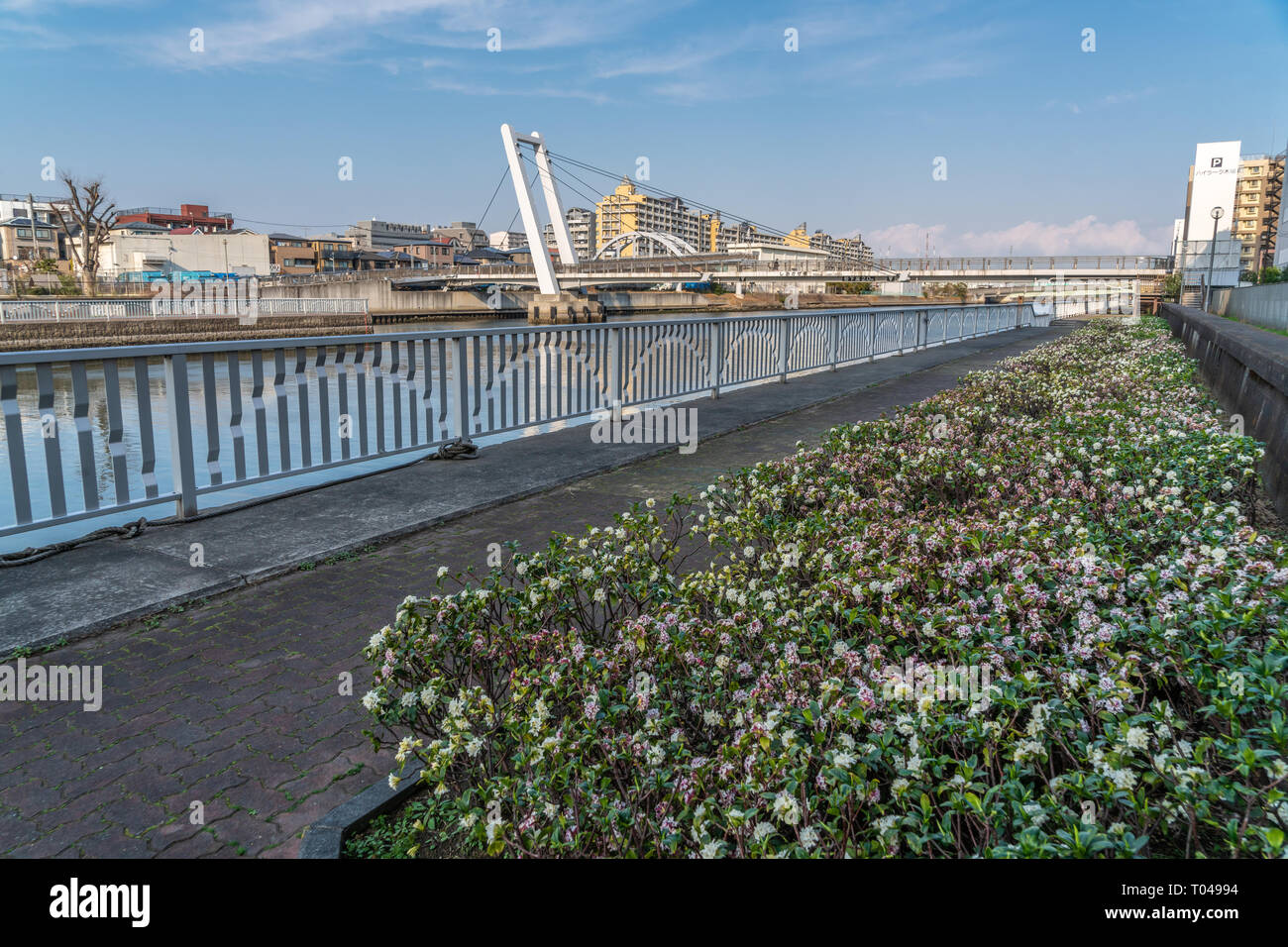 Shiokaze Bridge (Shiokazebashi) Connects Edagawa and Shiohama Districts ...