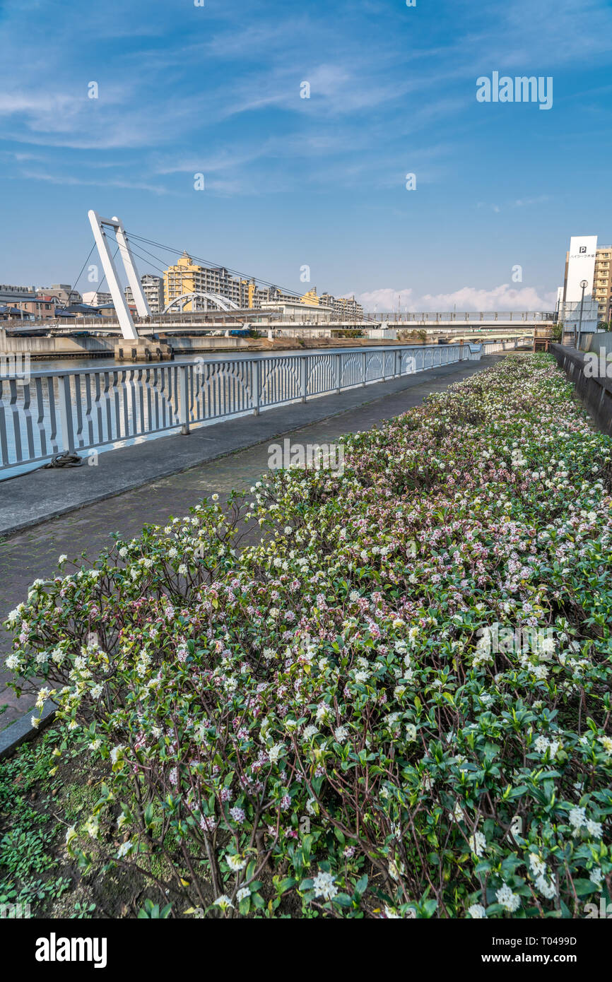 Shiohama hi-res stock photography and images - Alamy