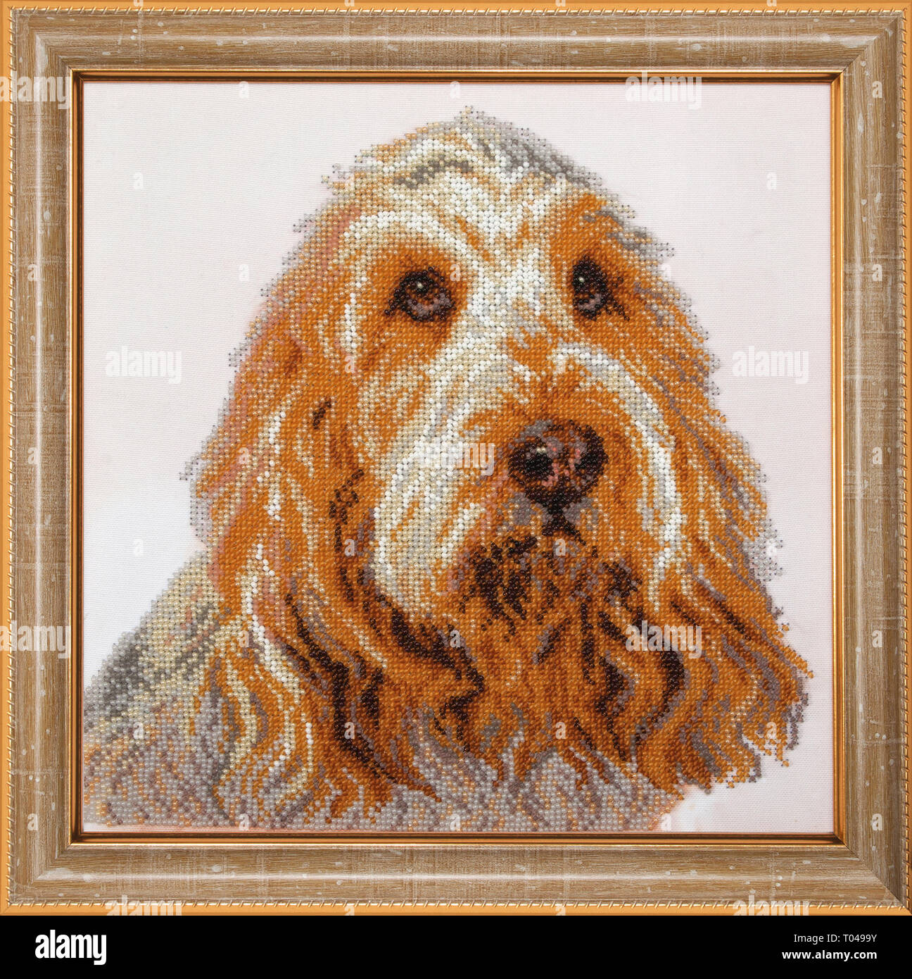 The portrait of a dog embroidered with beads. Square format Stock Photo ...
