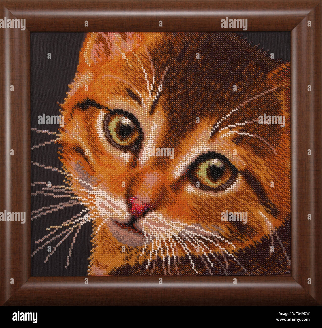 The portrait of a cat embroidered with beads. Square format Stock Photo ...