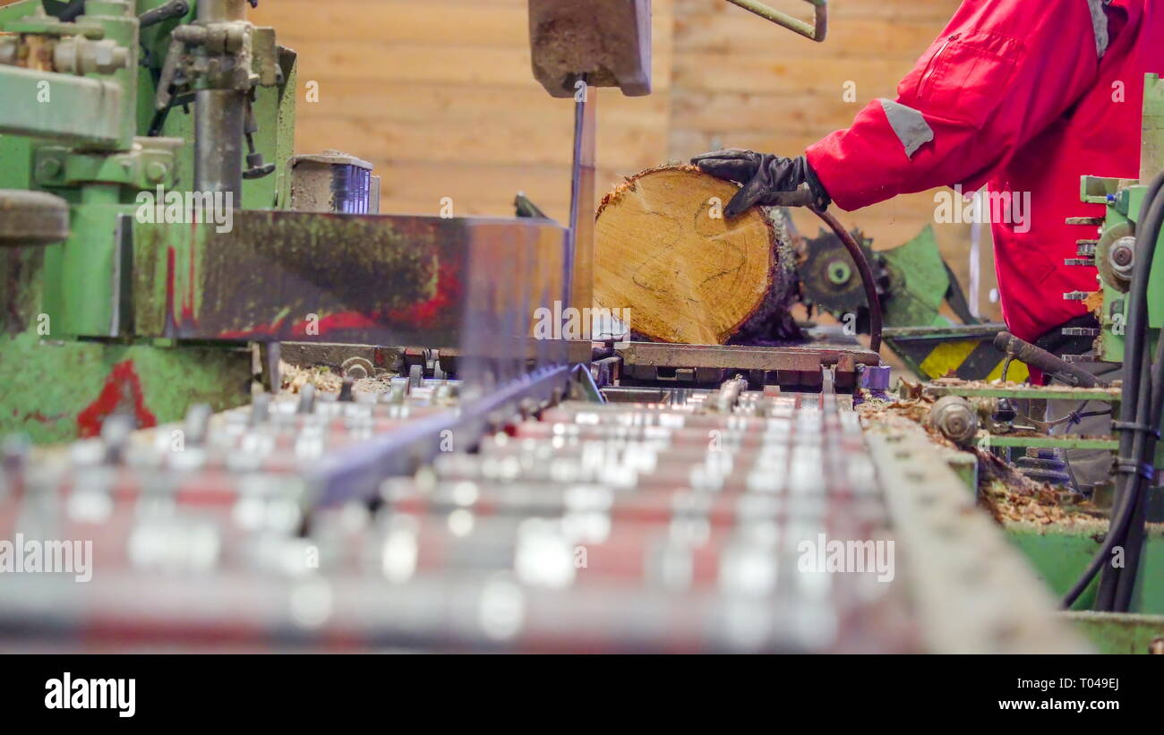 A big log being cut into thin lumbers by machine in the sawmill factory ...