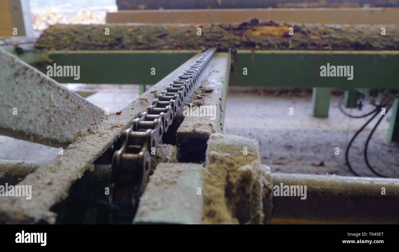 The chain of the machine inside the sawmill factory where lots of ...