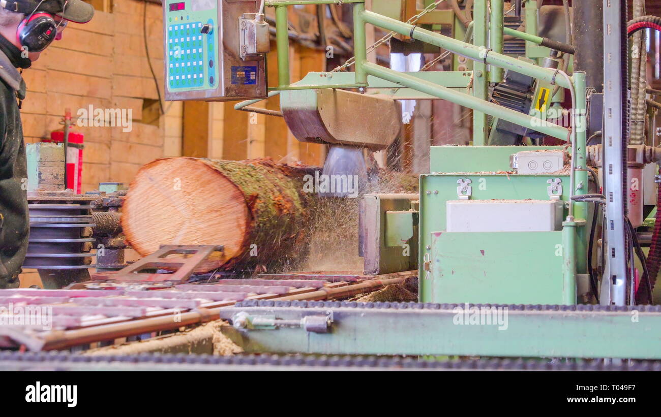The side of the big log being stripped by the machine that is so sharp ...