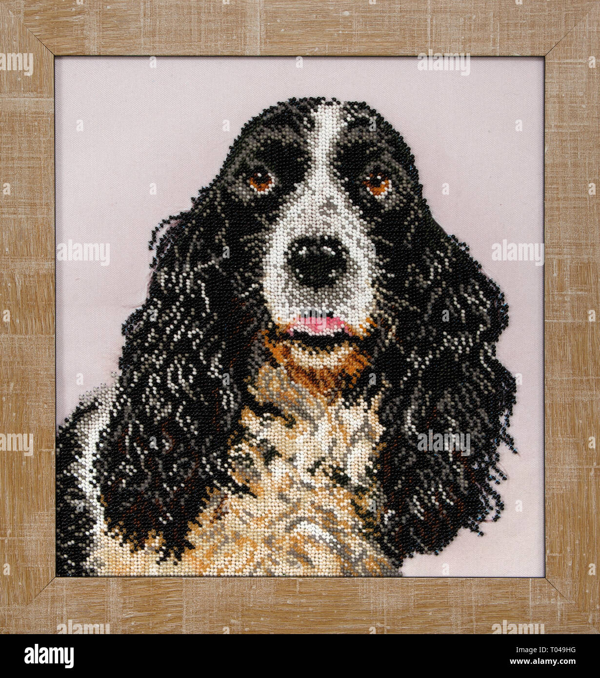 The portrait of a dog embroidered with beads. Square format Stock Photo ...
