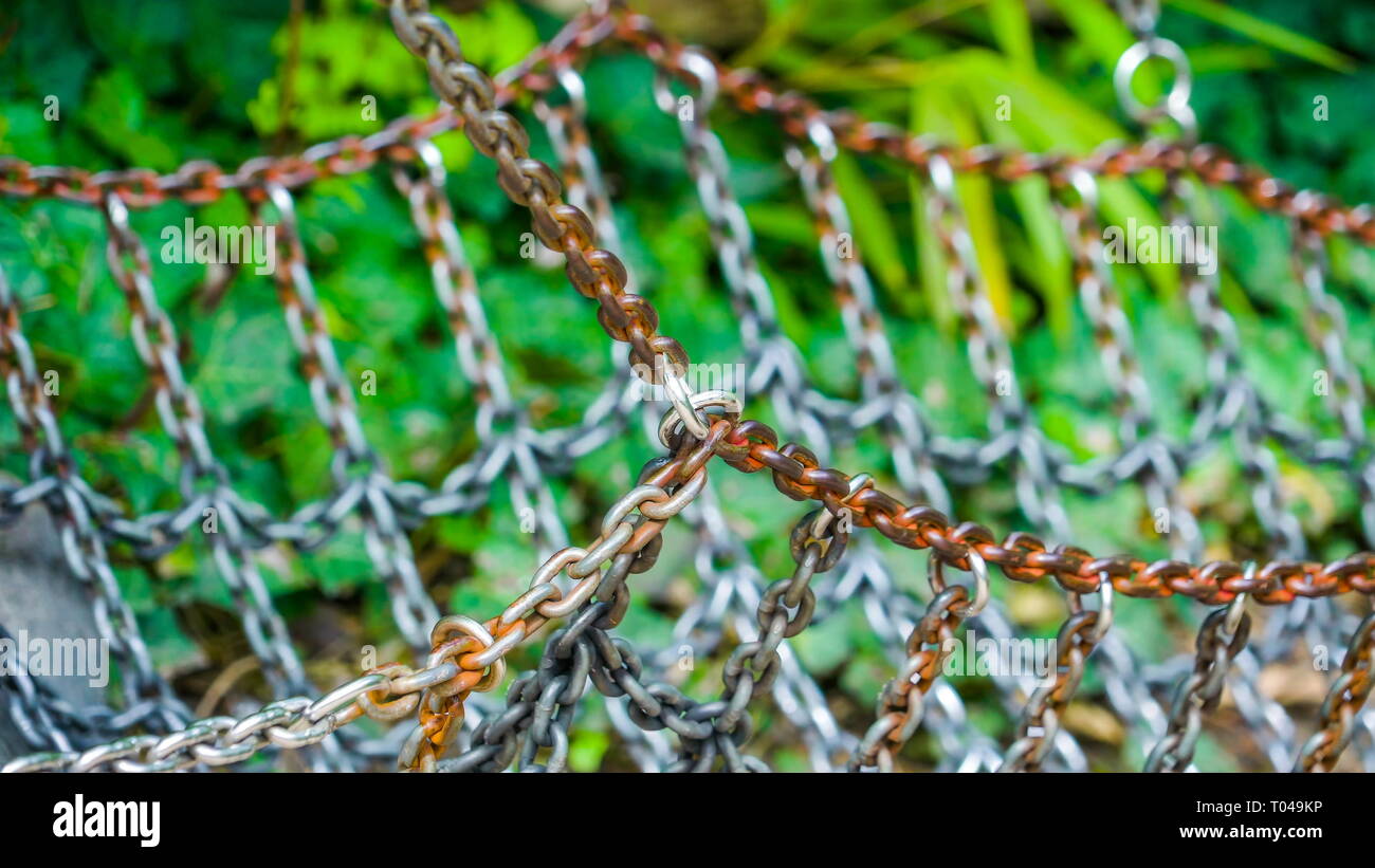 The rusty chains on the hanging tree trunk inside the jungle zoo with ...