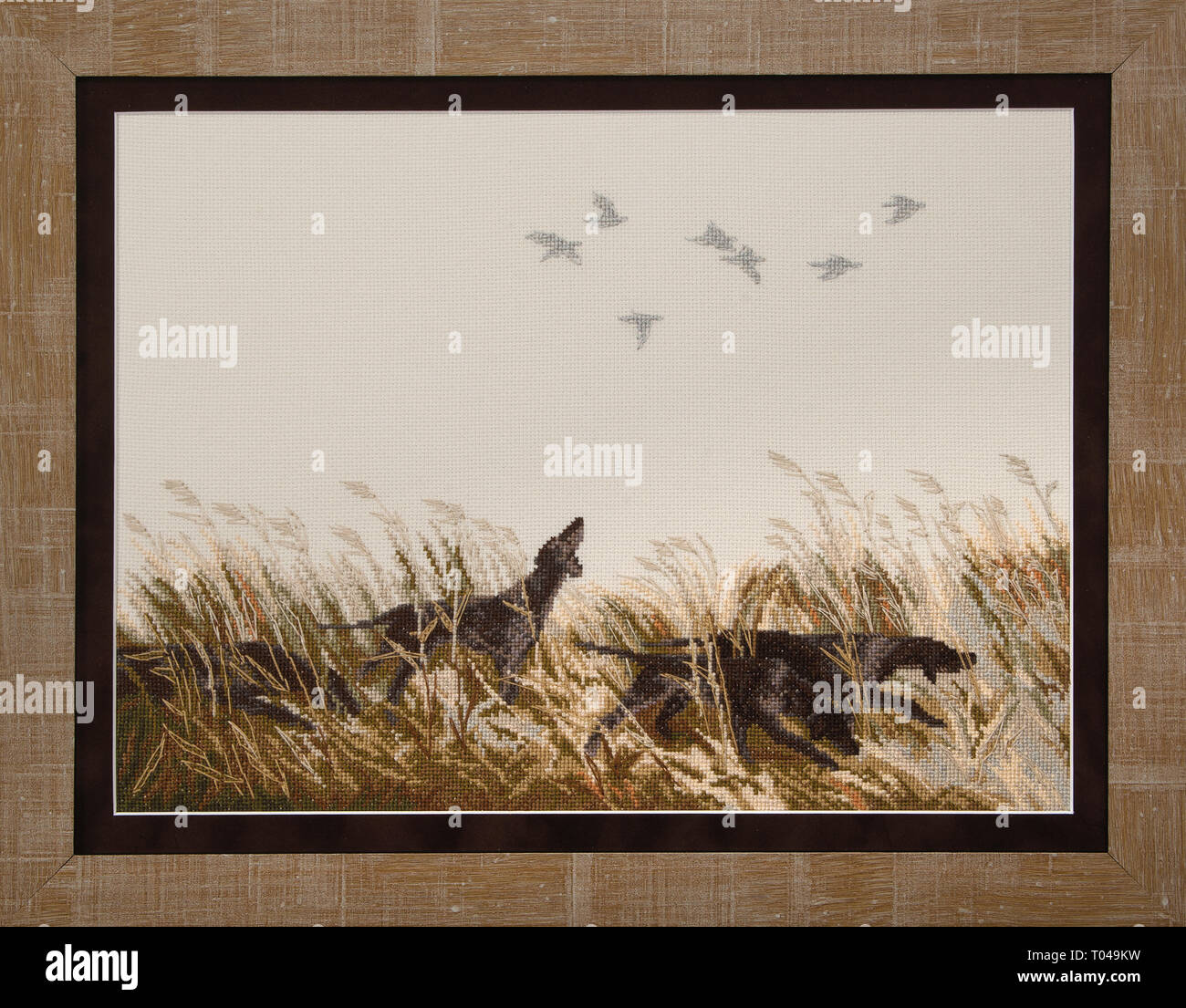 Dog cross stitch hi-res stock photography and images - Alamy
