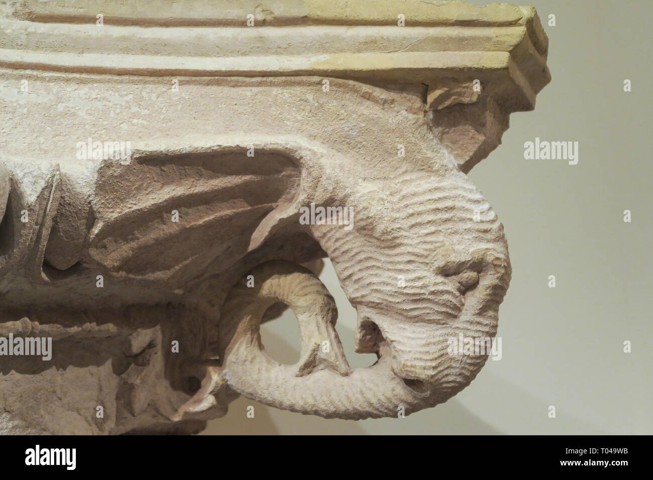 Elephant petra city hi-res stock photography and images - Alamy