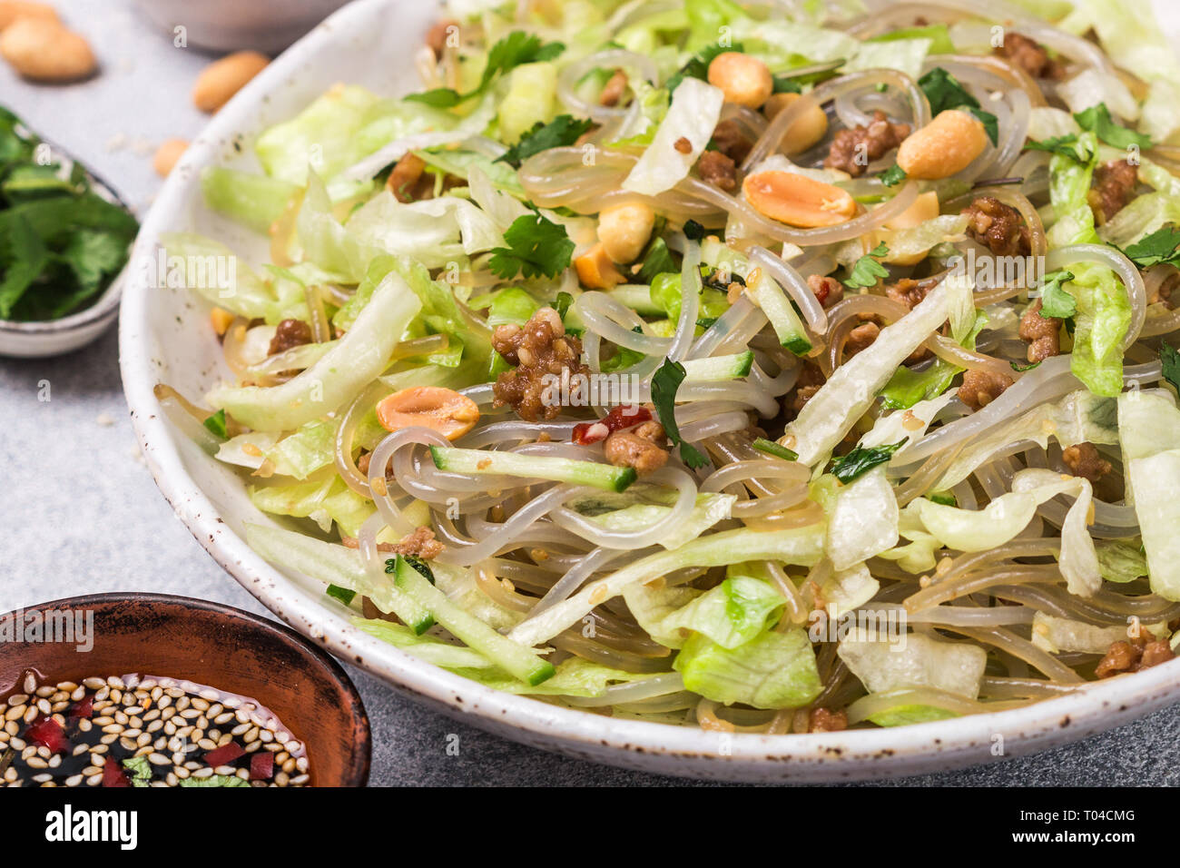 Chinese dish of starch glass noodles (rice, potatoes, beans) with meat ...