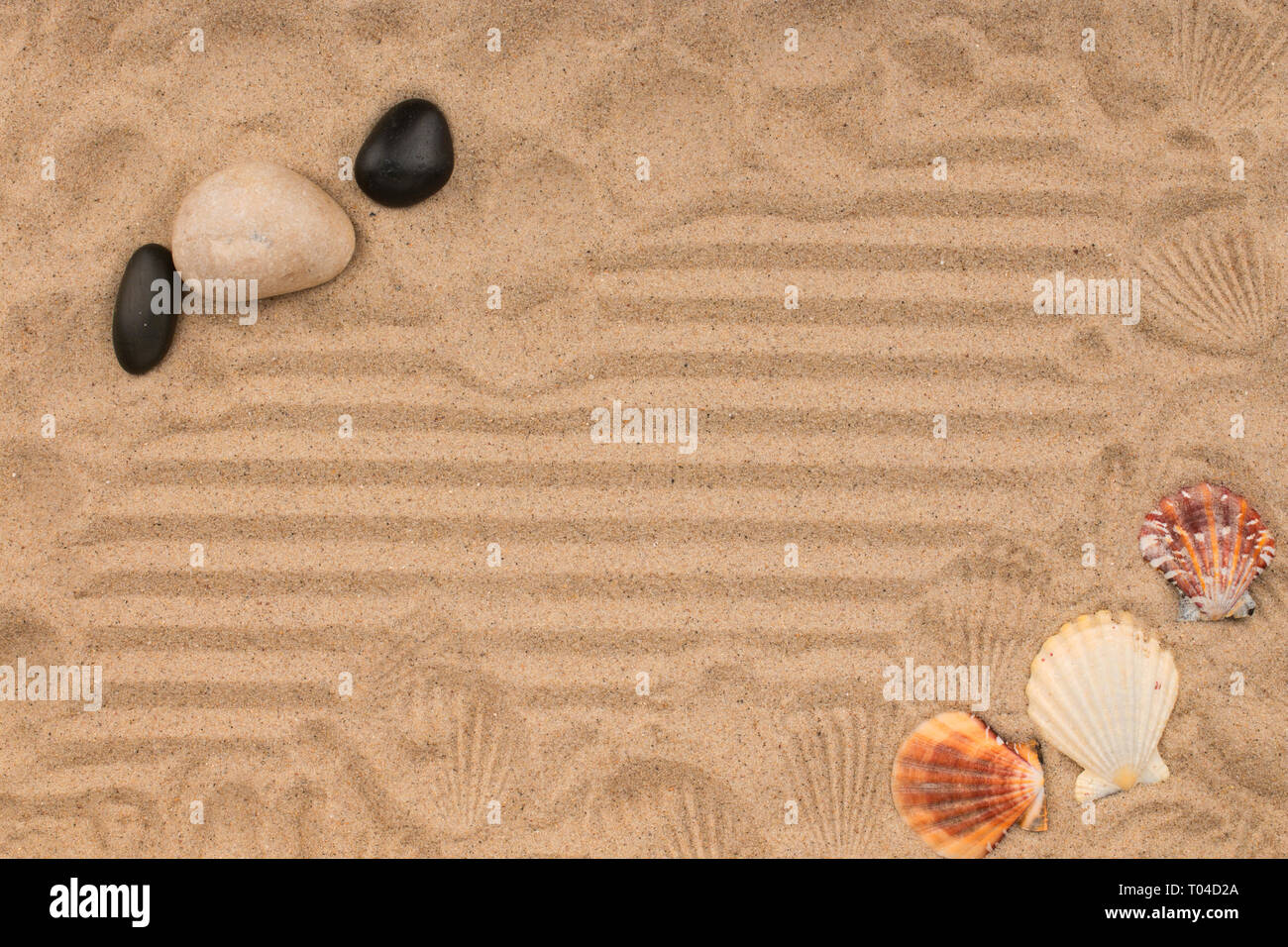 Shell prints in the sand hi-res stock photography and images - Alamy