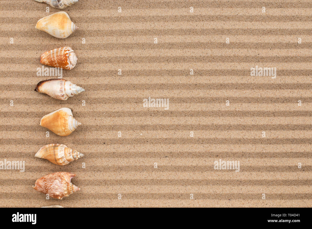 Line made of seashells lying on the striped sand. Top view Stock Photo ...
