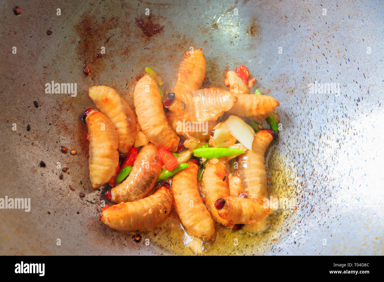 worm palm weevil red or Sago beetle fried in pan (Rhynchophorus ...