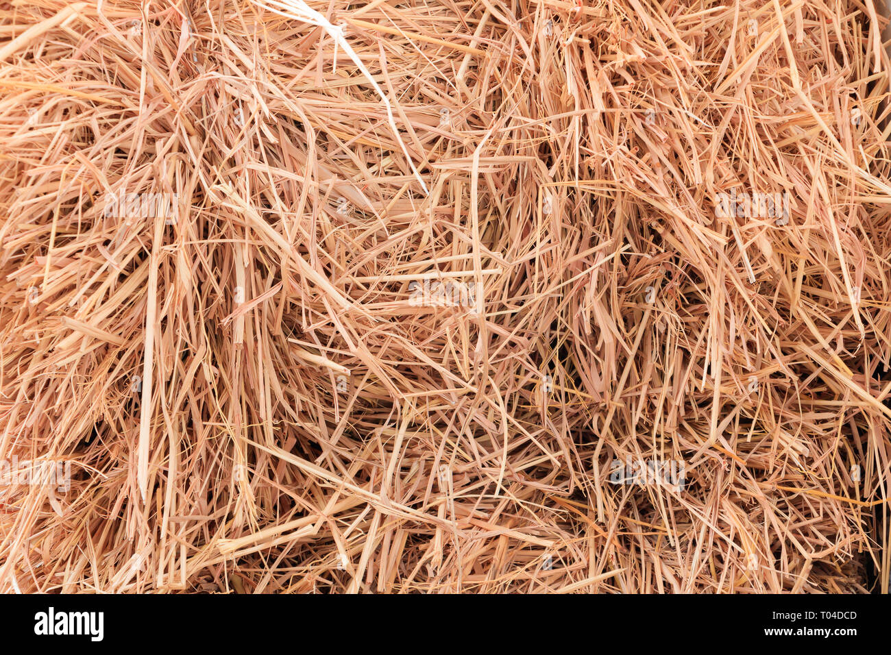 Dry Straw texture background with copy space add text Stock Photo - Alamy