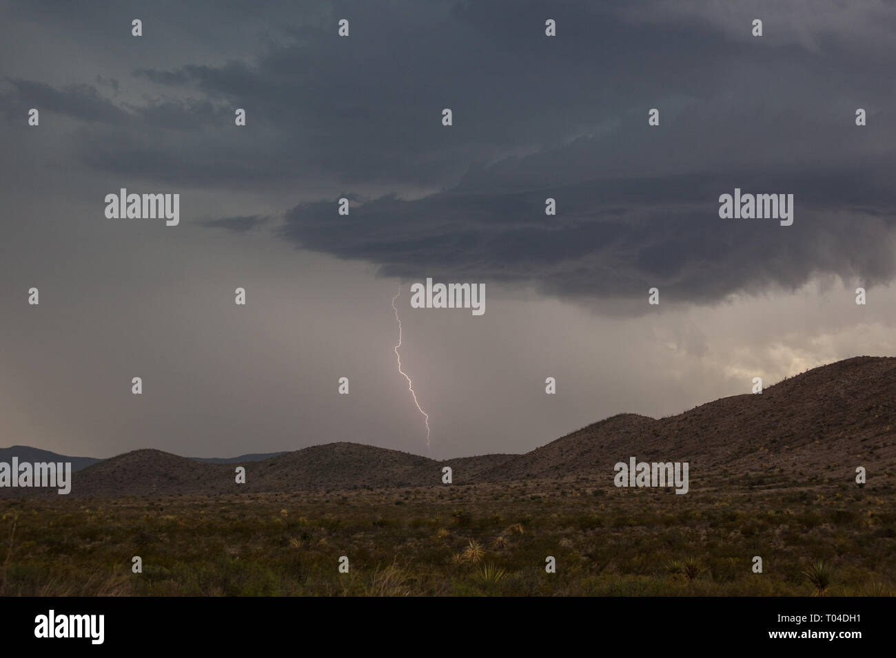 , Brewster County, Texas, USA Stock Photo - Alamy