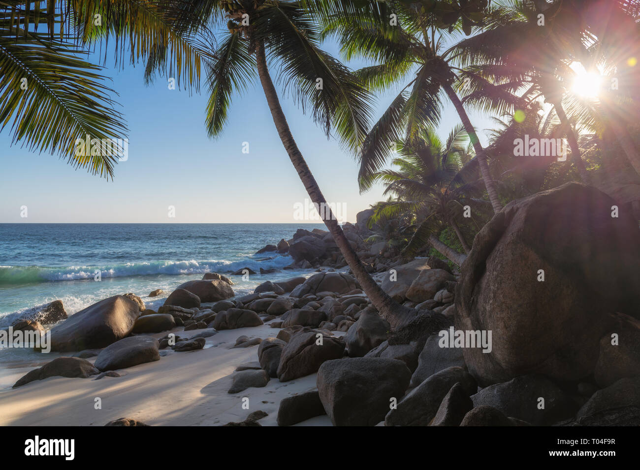 Exotic sandy beach hi-res stock photography and images - Alamy