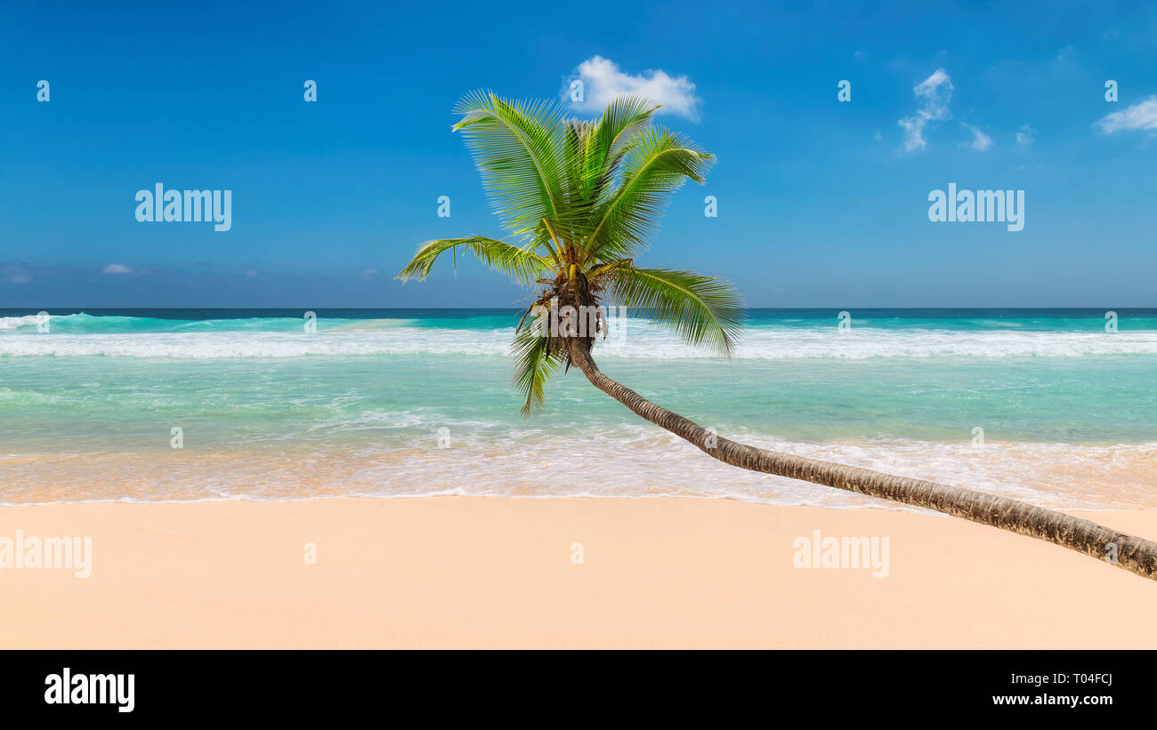 Coco beach goa hi-res stock photography and images - Alamy