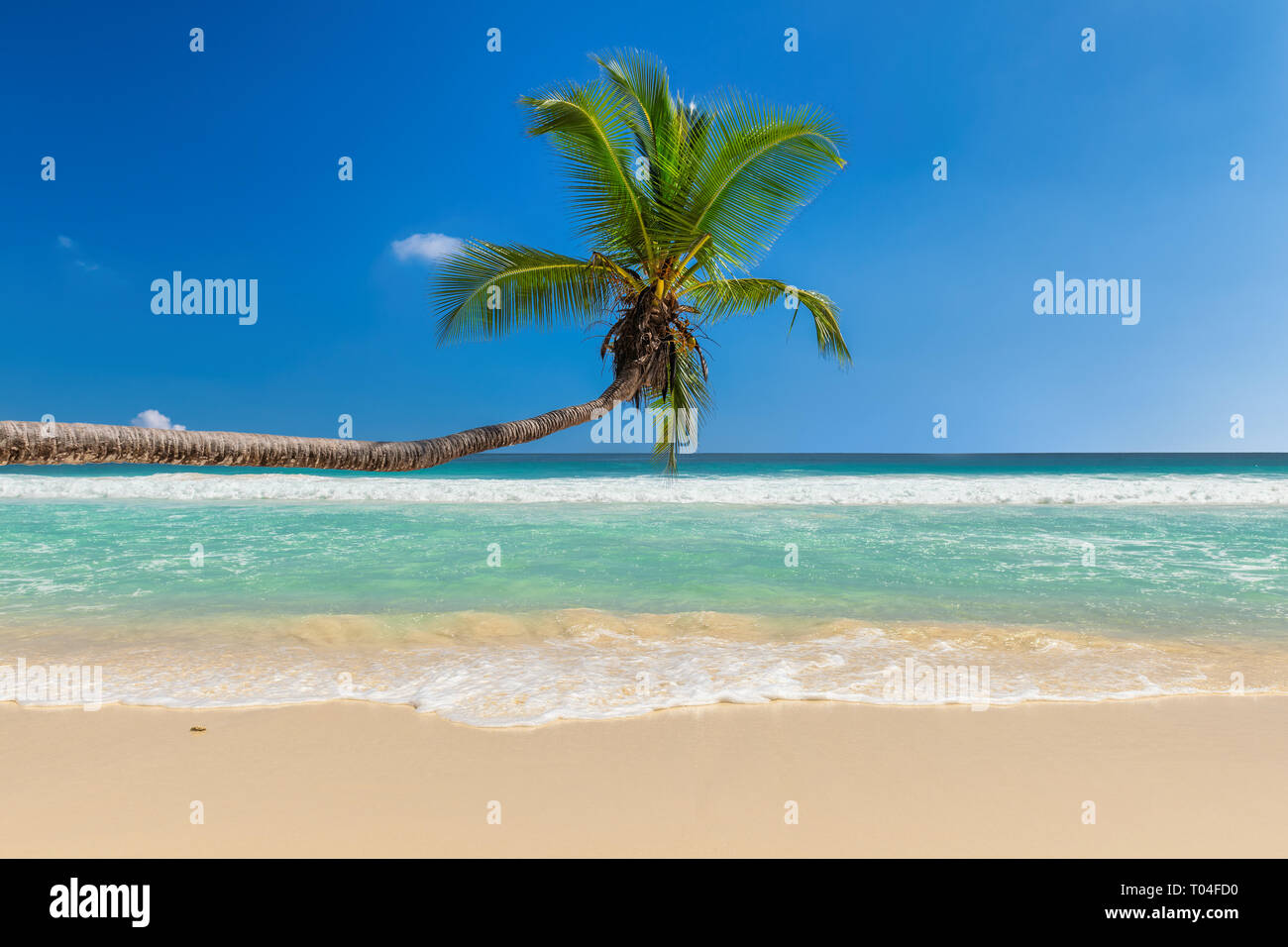 Coco beach florida hi-res stock photography and images - Alamy