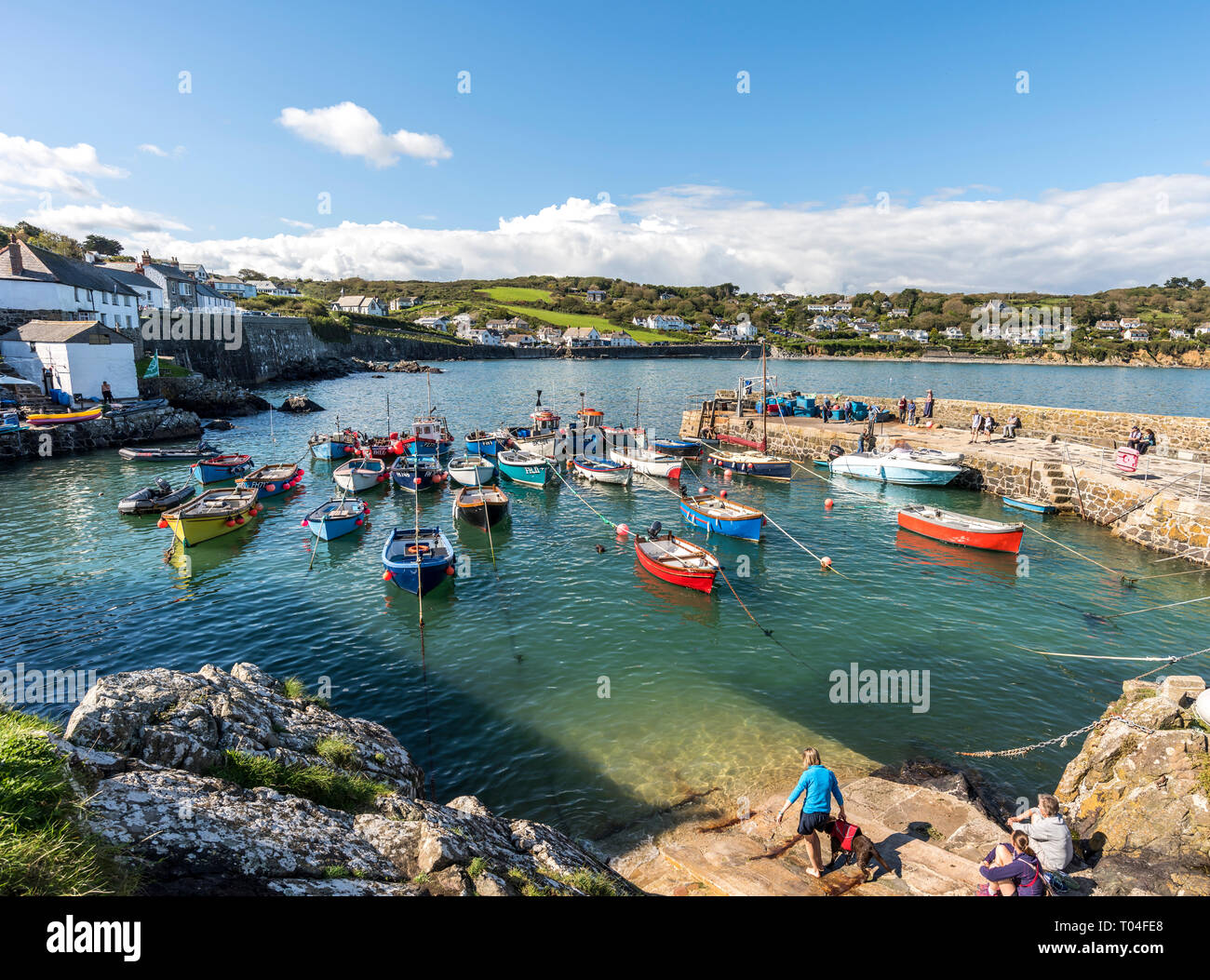 Boats on moorings at high tide on a Summer day in Coverack Cornwall UK ...