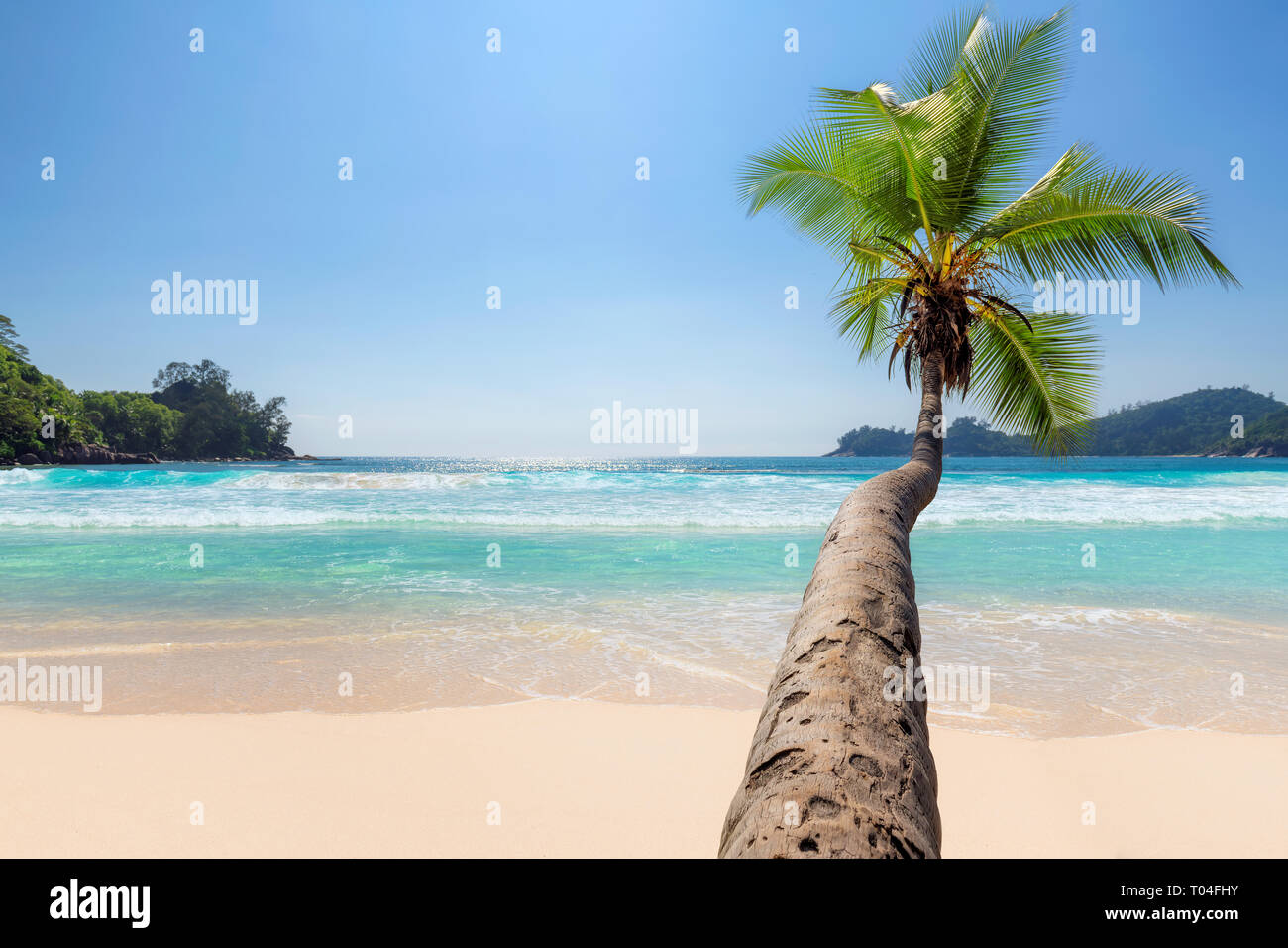 Coco palms over tropical hi-res stock photography and images - Alamy