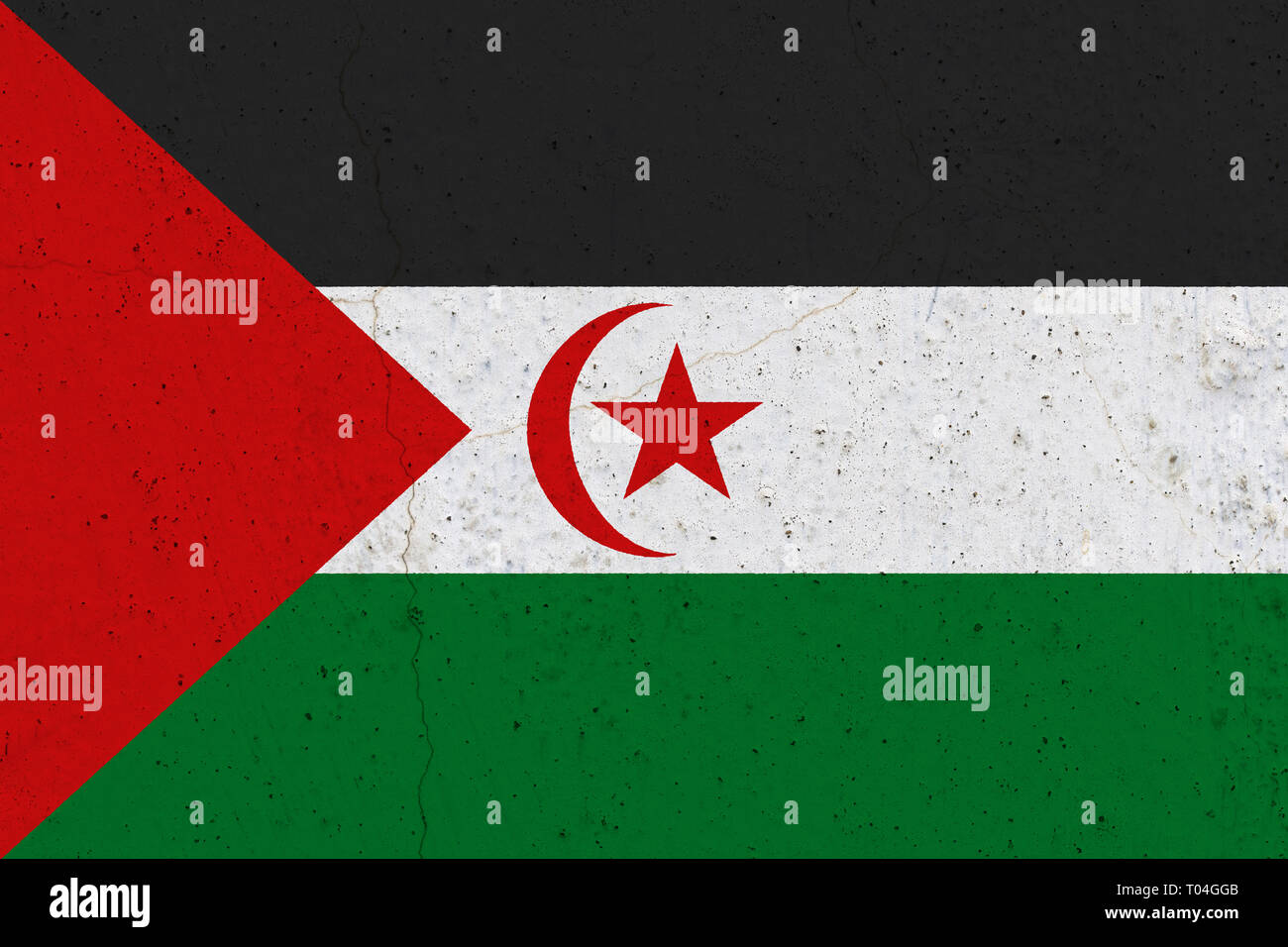 Sahrawi Arab Democratic Republic flag on concrete wall. Patriotic ...