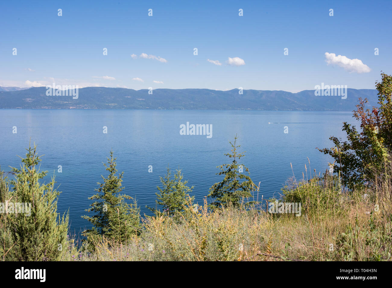 Kalispell, montana hi-res stock photography and images - Alamy