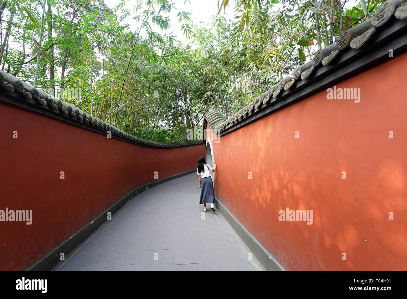 Girl at curvy red walls passage surrounded by bamboo forest, Walkway ...