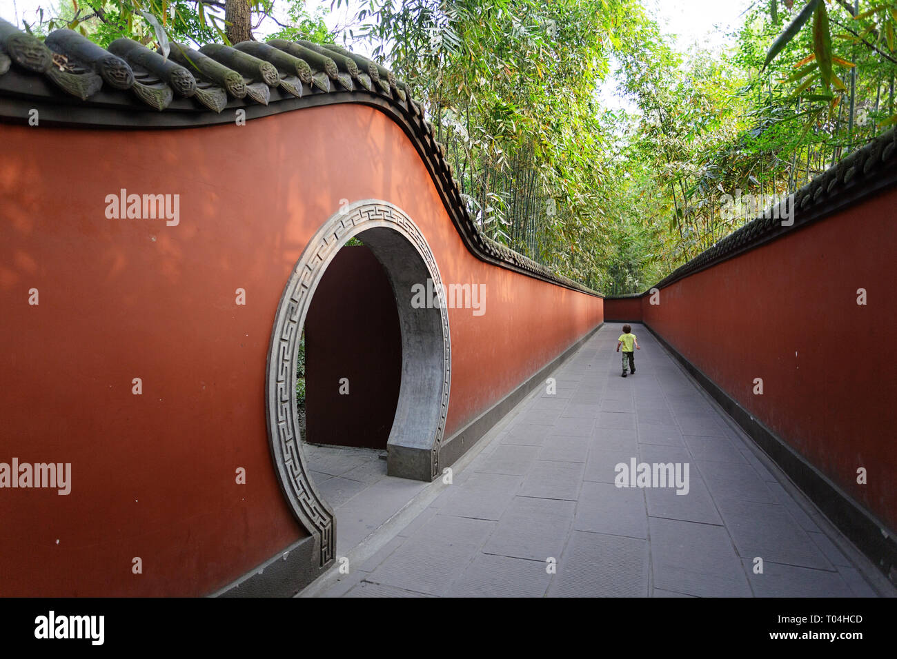 Boy walking between curvy red walls passage surrounded by bamboo forest ...