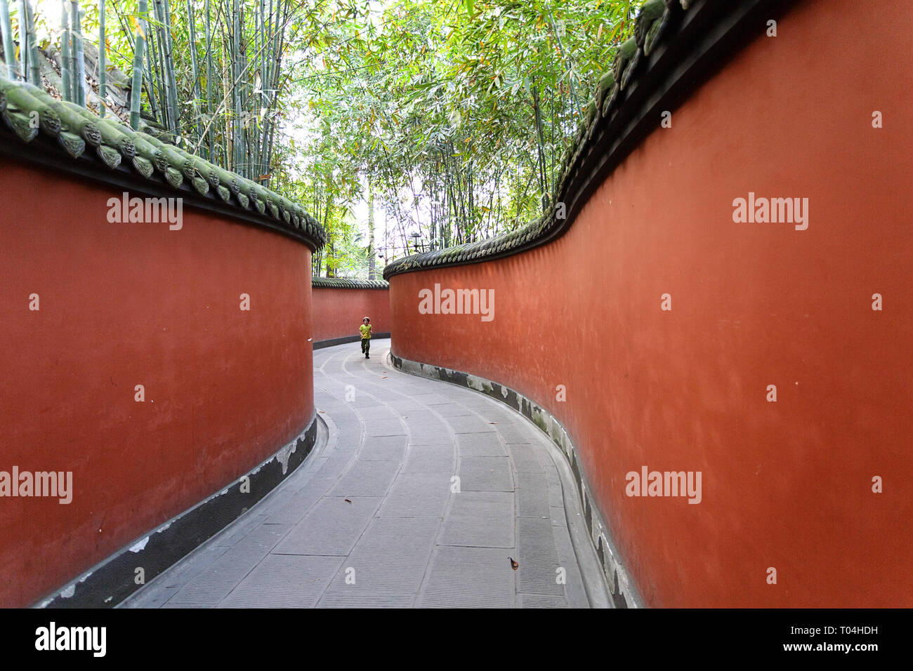 Boy running trough curvy red walls passage surrounded by bamboo forest ...