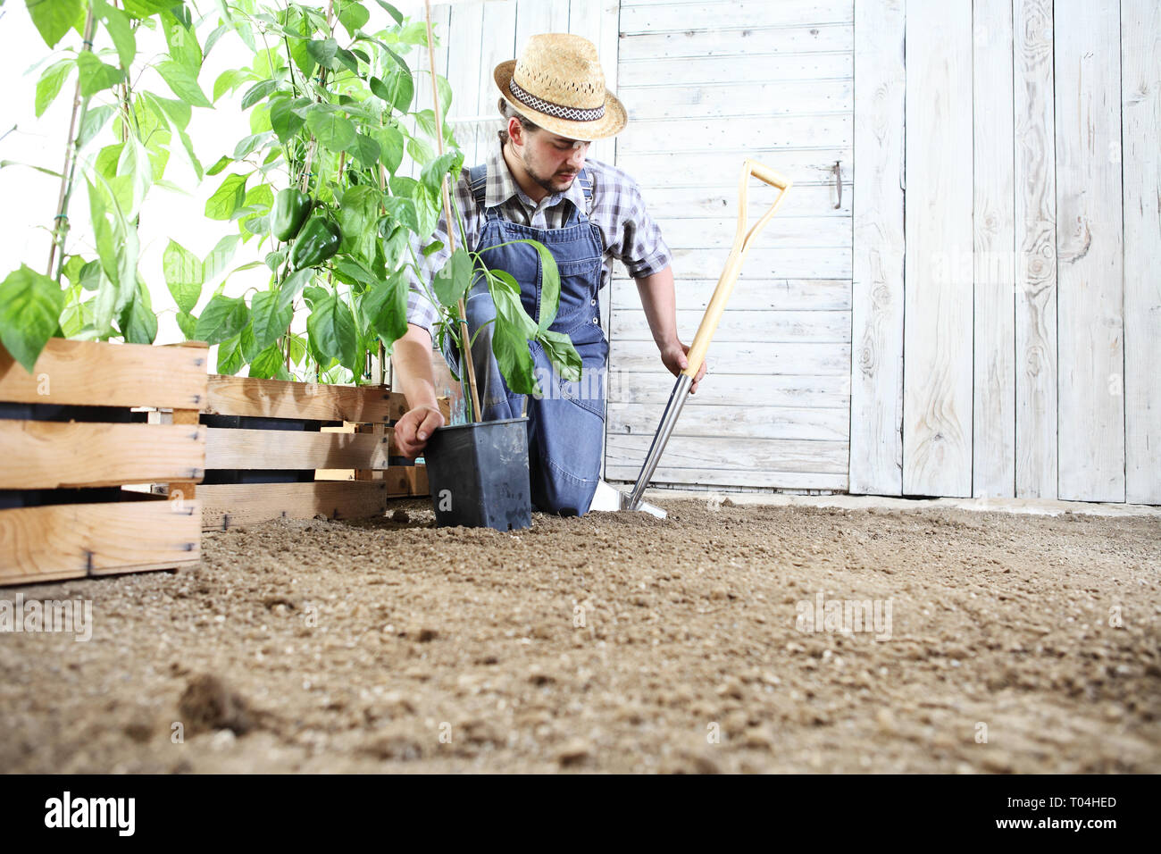 Work with soil hi-res stock photography and images - Alamy