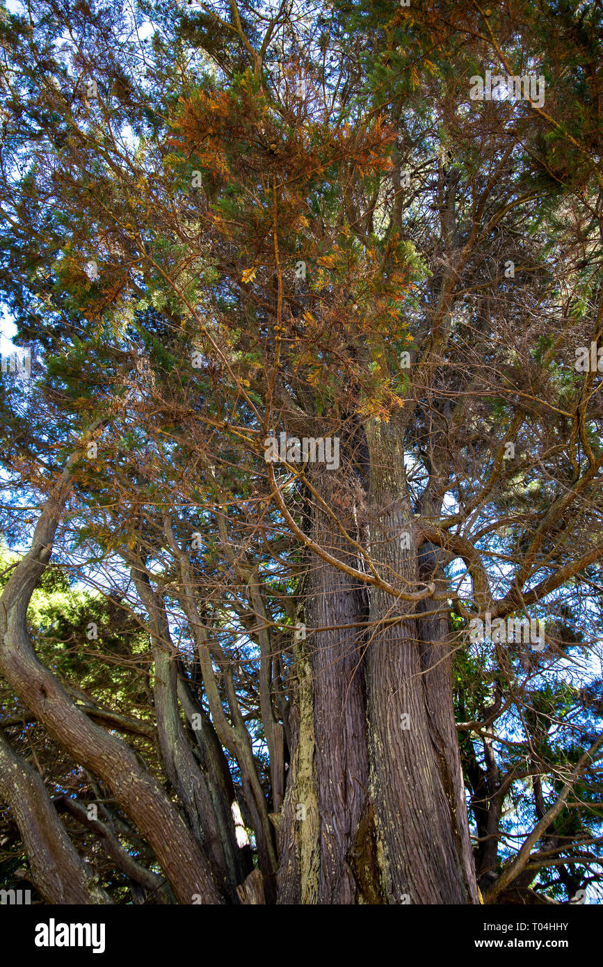 Lota Chile High Resolution Stock Photography and Images - Alamy