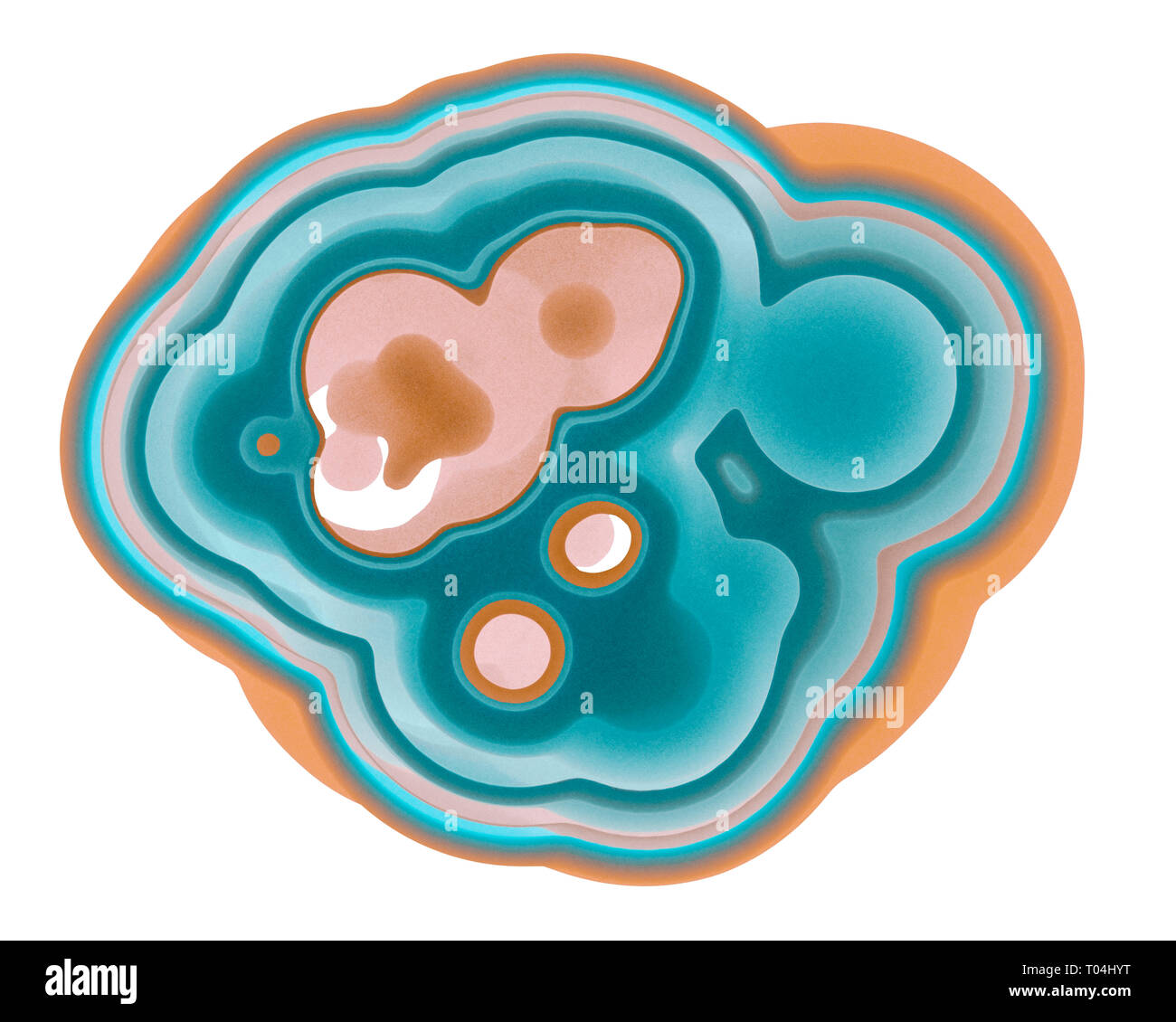 Organic Cell Cross Section. Medical Science And Research Concept Stock ...