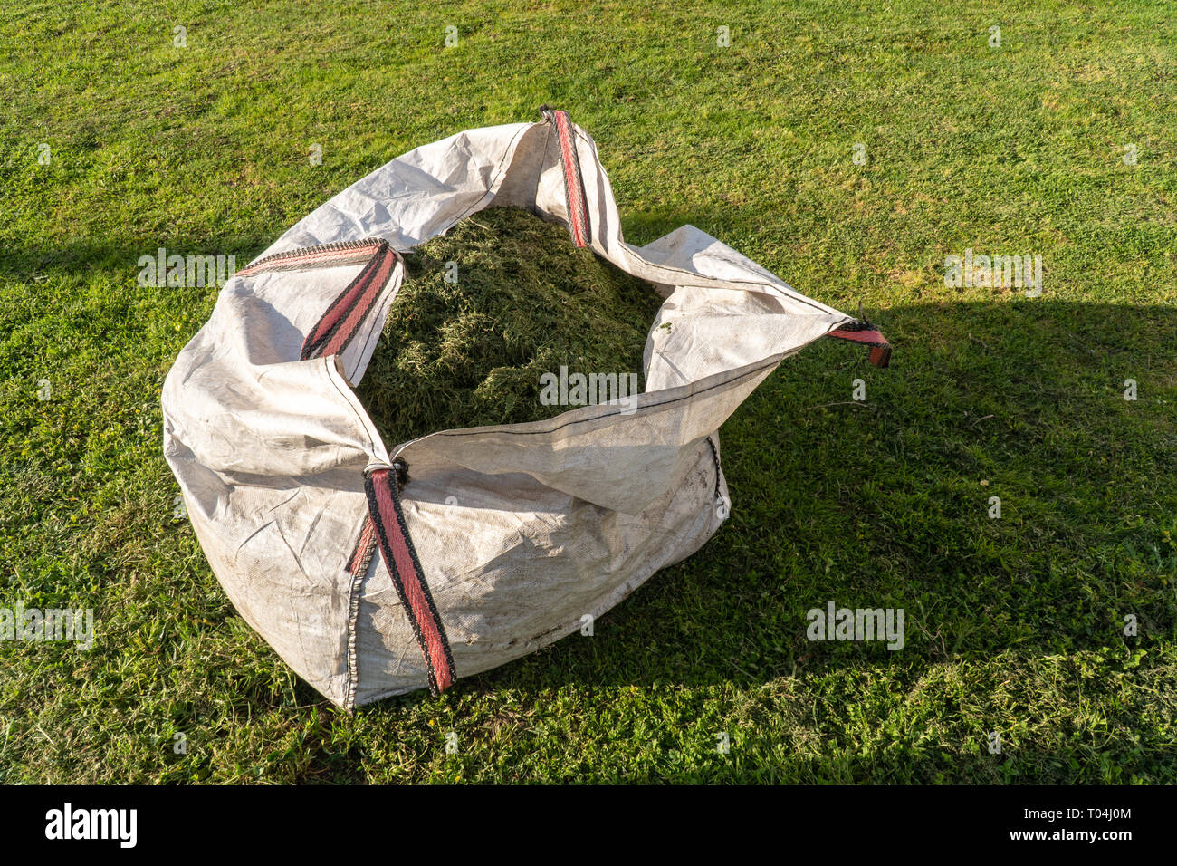Recycling grass hi-res stock photography and images - Alamy
