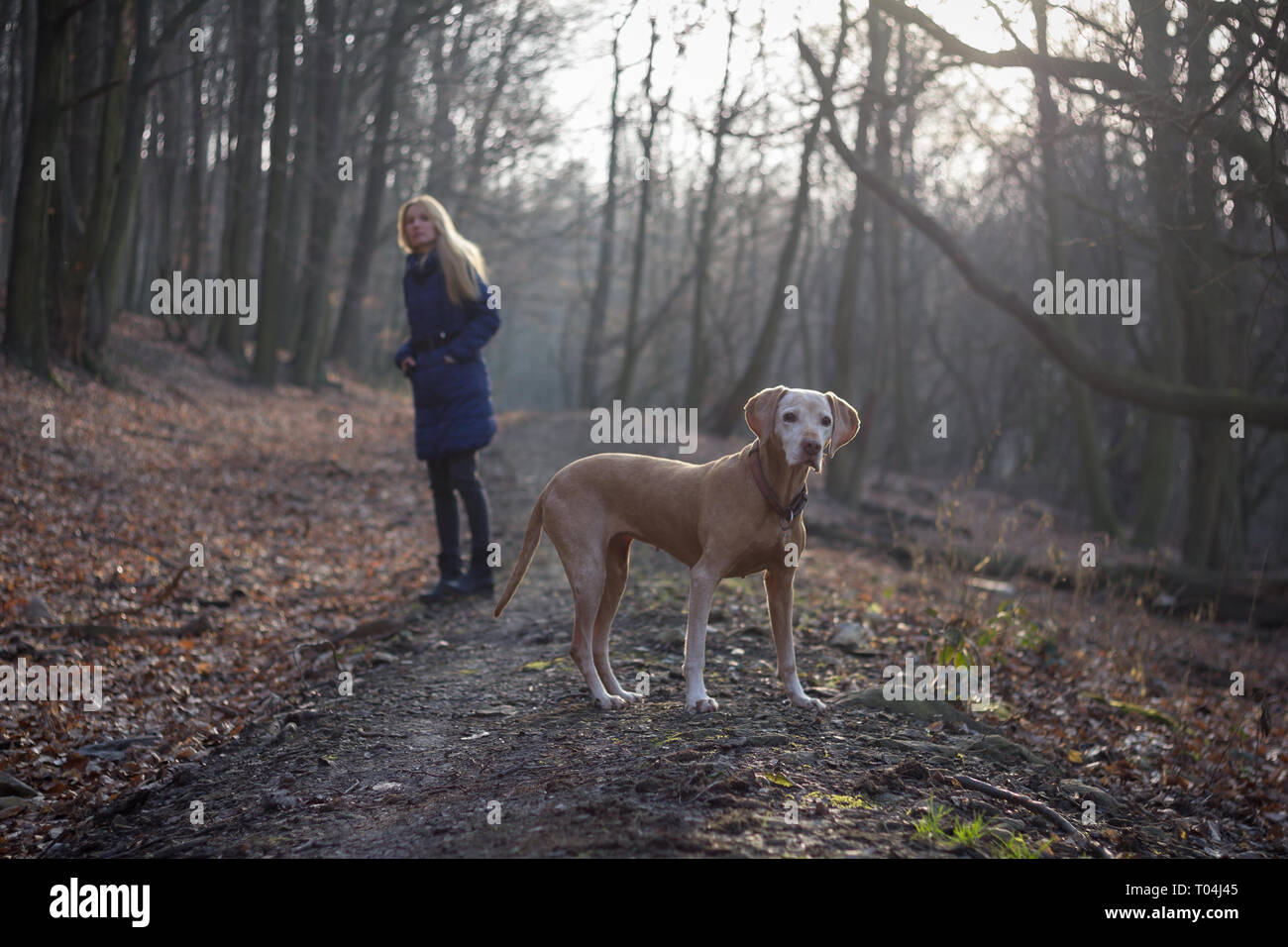 Woman walking dog in hi-res stock photography and images - Alamy