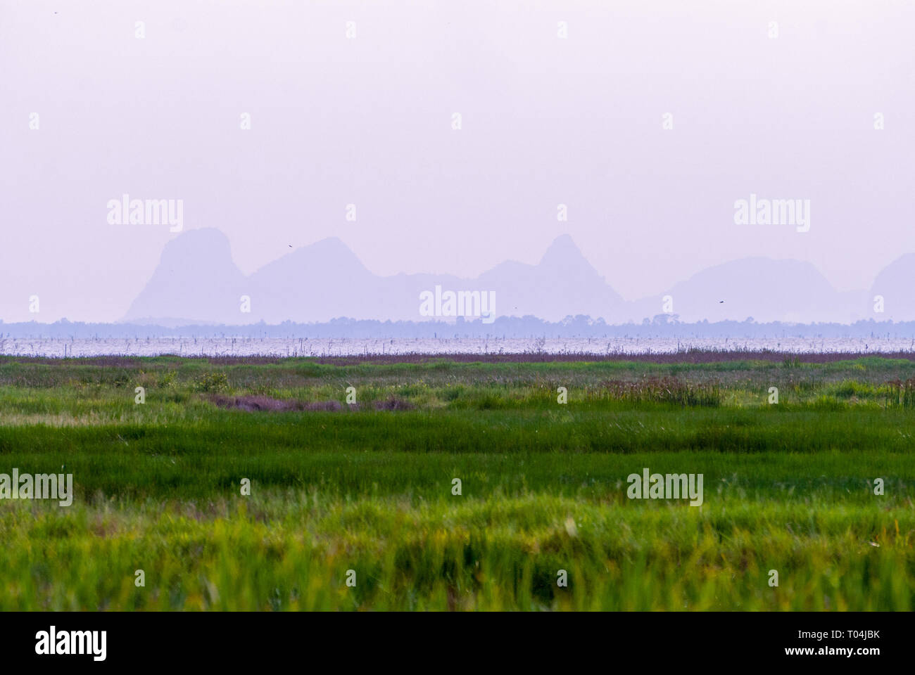 Songkhla lake scenery, Thailand Stock Photo - Alamy