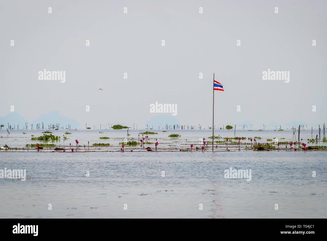 Scenic view over songkhla lake hi-res stock photography and images - Alamy