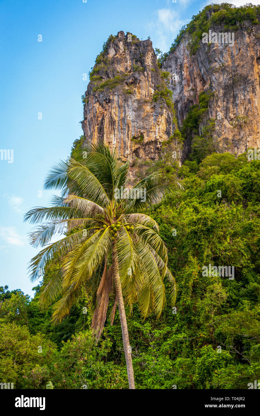Famous phatthalung rock hi-res stock photography and images - Alamy