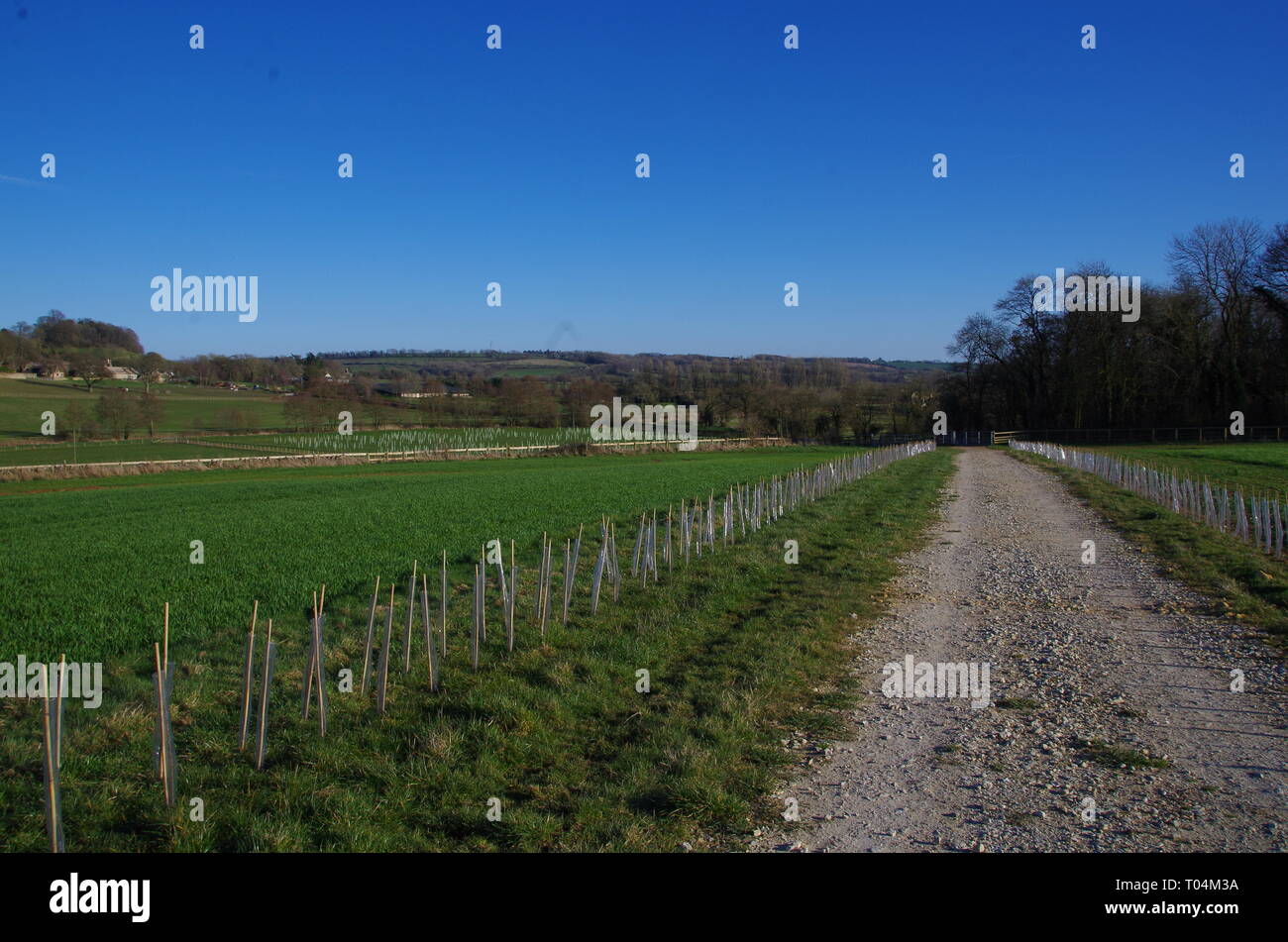 Lower swell, cotswolds hi-res stock photography and images - Alamy